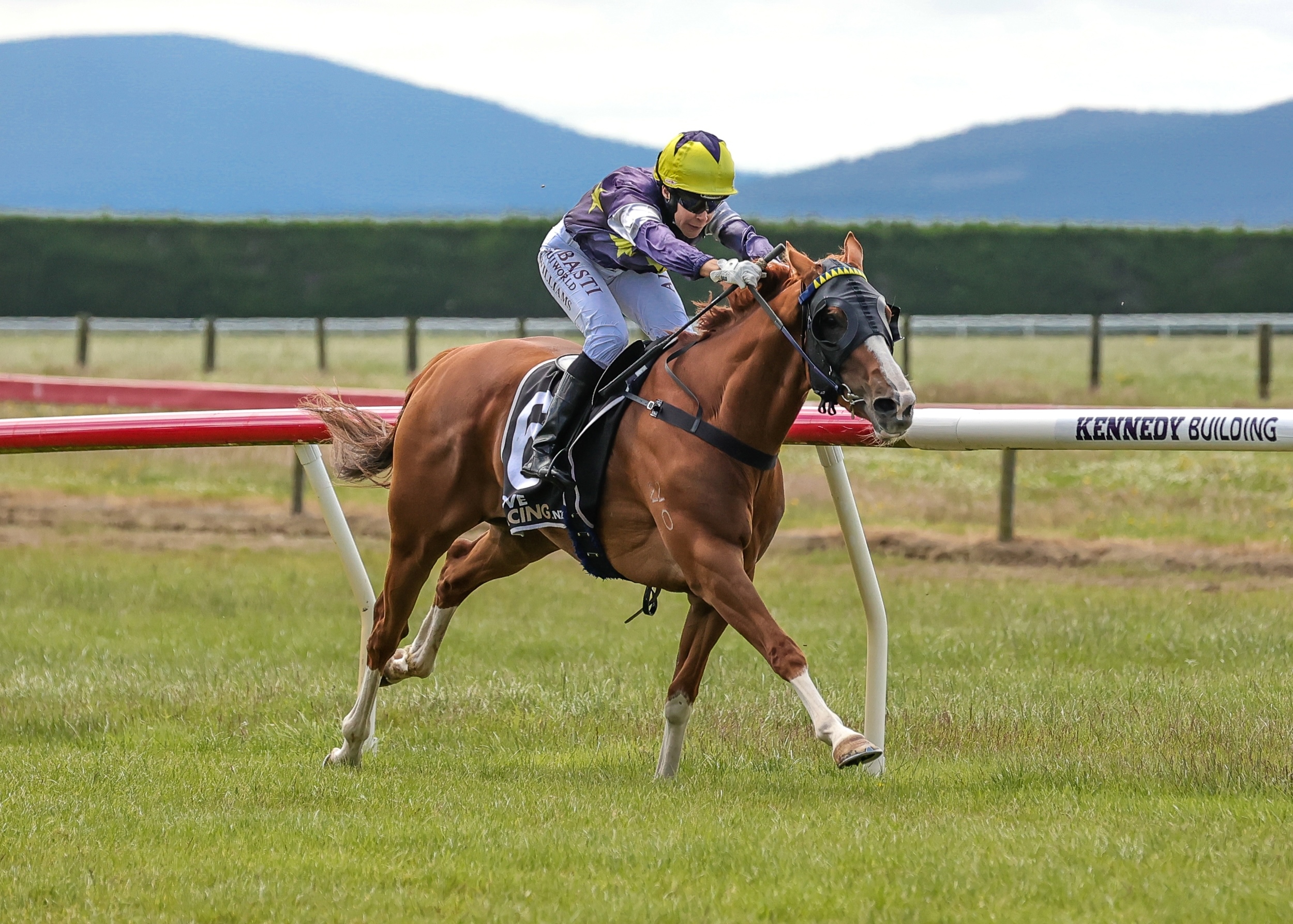 Riviera Rebel takes Tapanui Cup