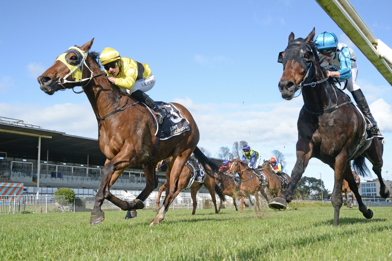 Familiar road ahead for talented gelding at Te Rapa