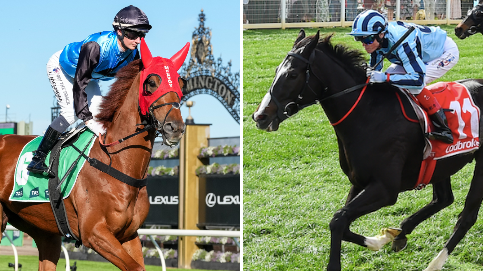 Melbourne Cup field: Order of entry, acceptances