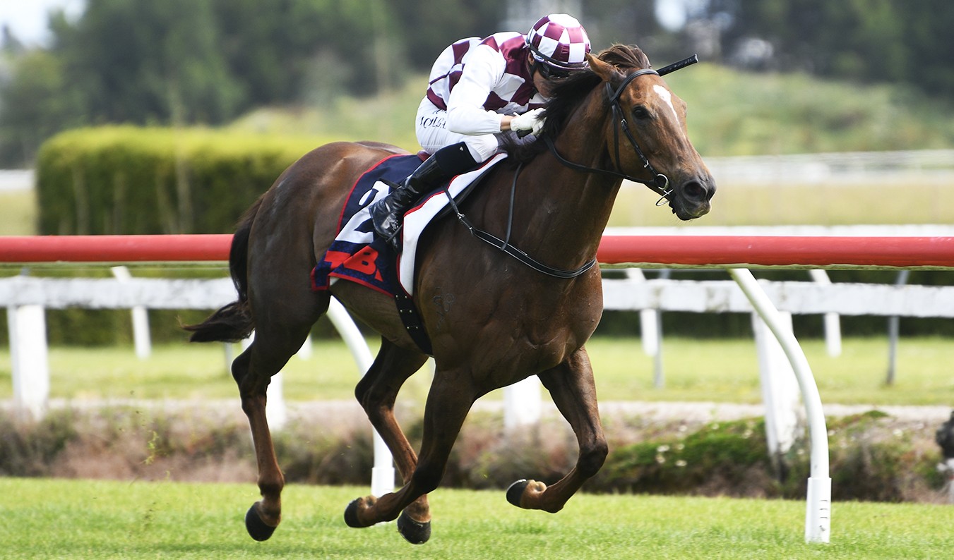 Connections toast outstanding sprinting mare