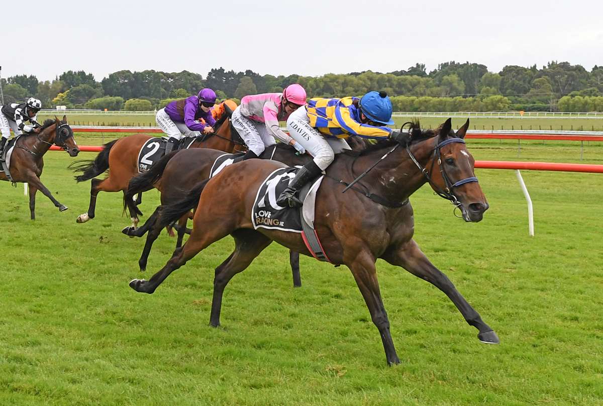 Auckland Cup berth on the line for Sword In Stone
