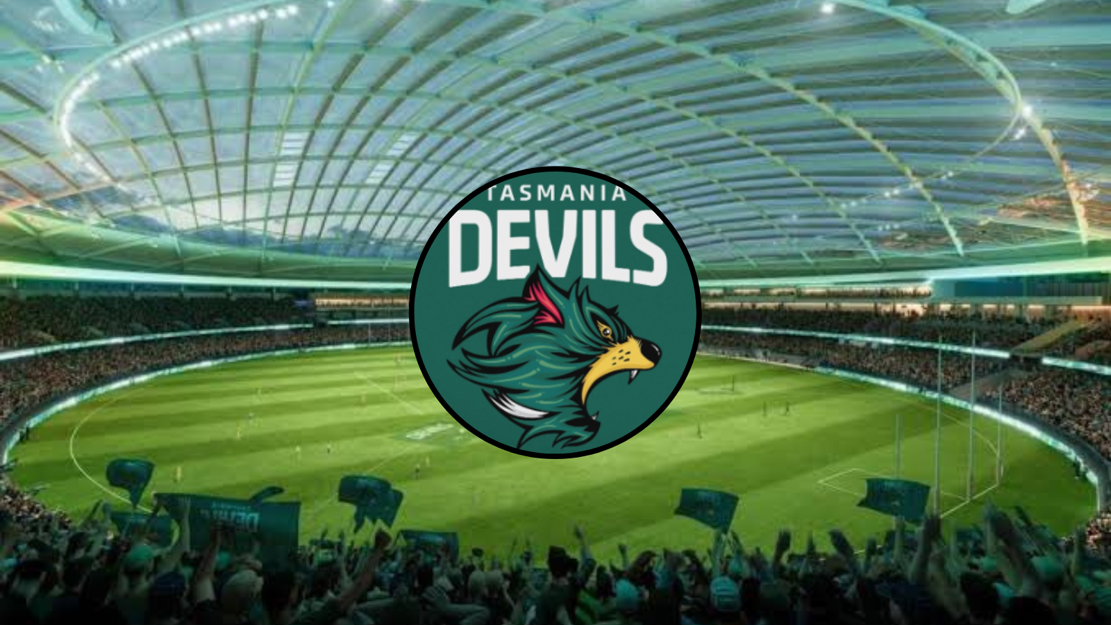 Tasmanian Devils AFL future: Election and AFL