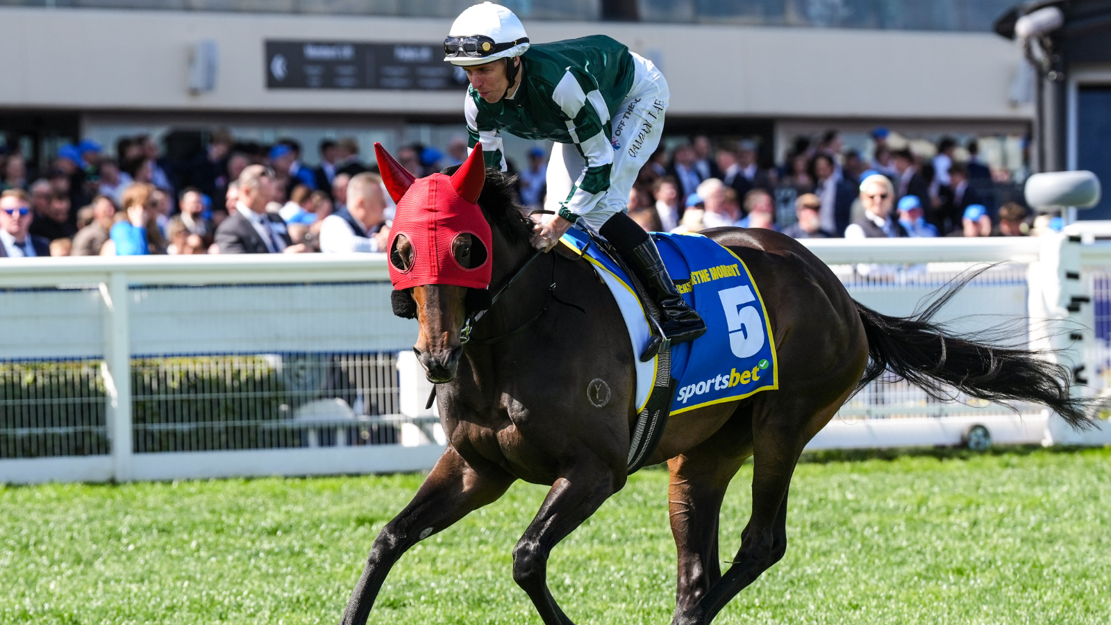 Horse Racing 2025: Treasurethe Moment's spring is likely over