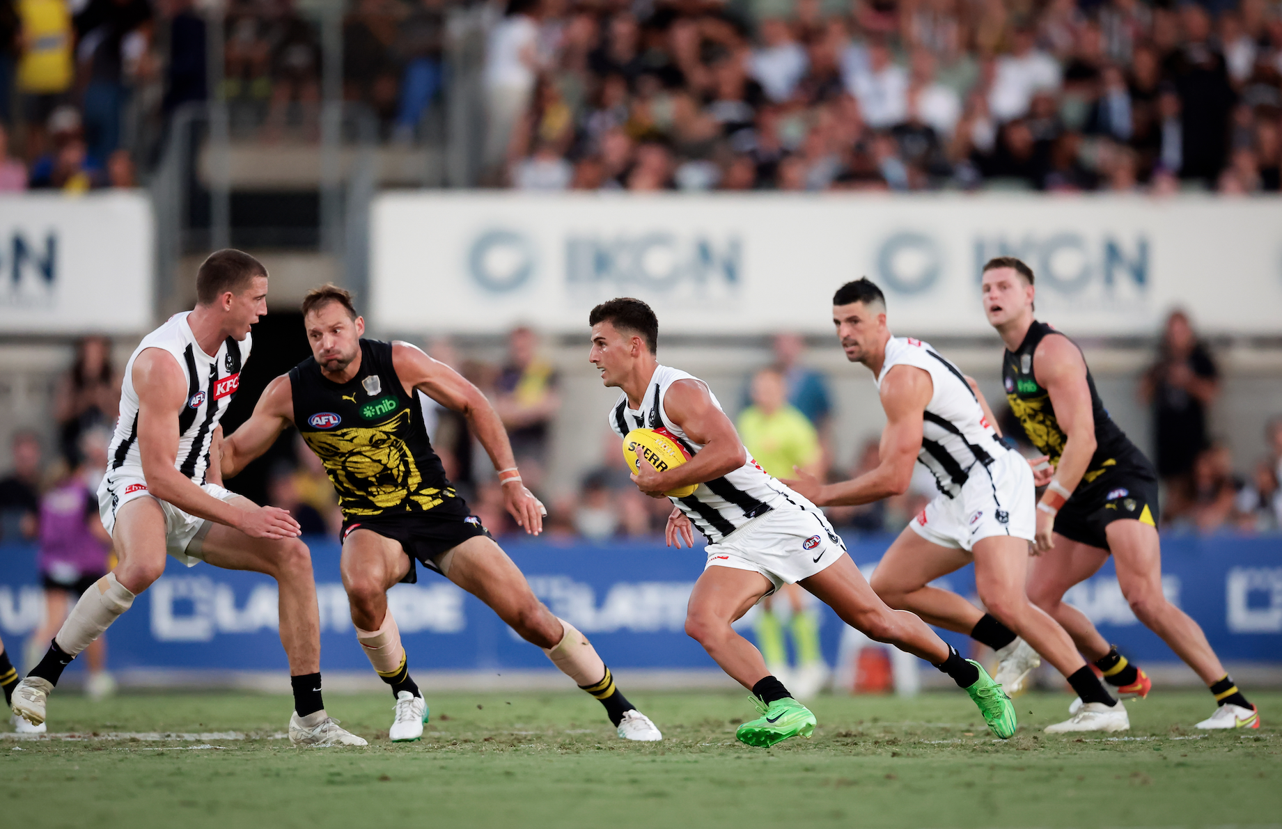 “Ticks everywhere”: Lyon and Watson’s observations from slick ...