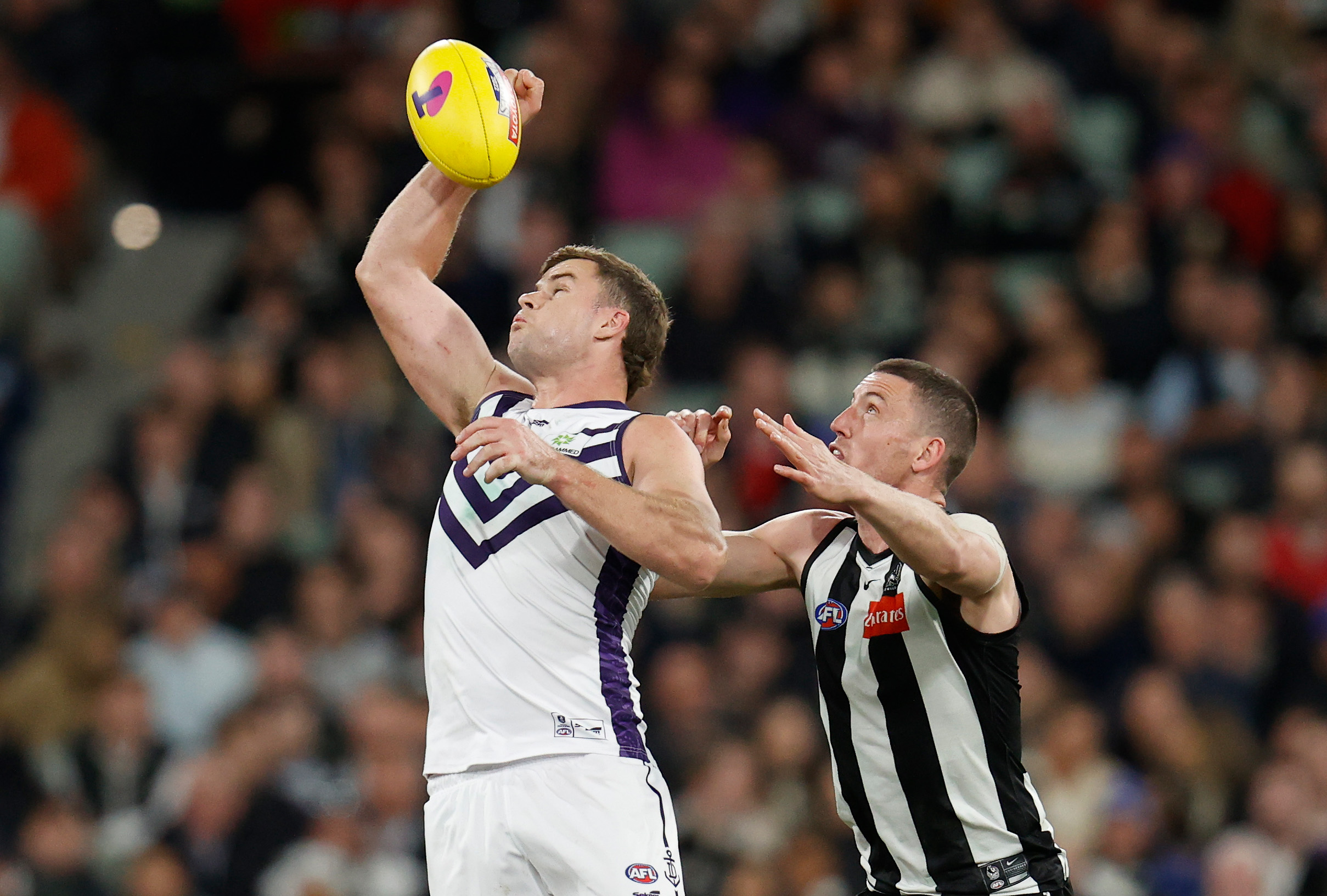 AFL 2025: SEN.com.au's game ratings for Round 19