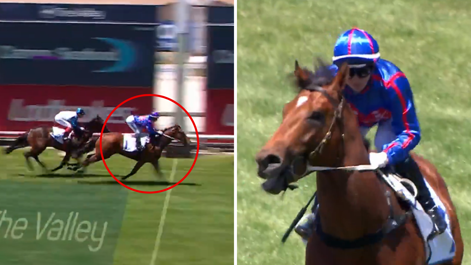 Horse Racing 2026: Guest House, Big Sky, Blue Diamond, Mick Price