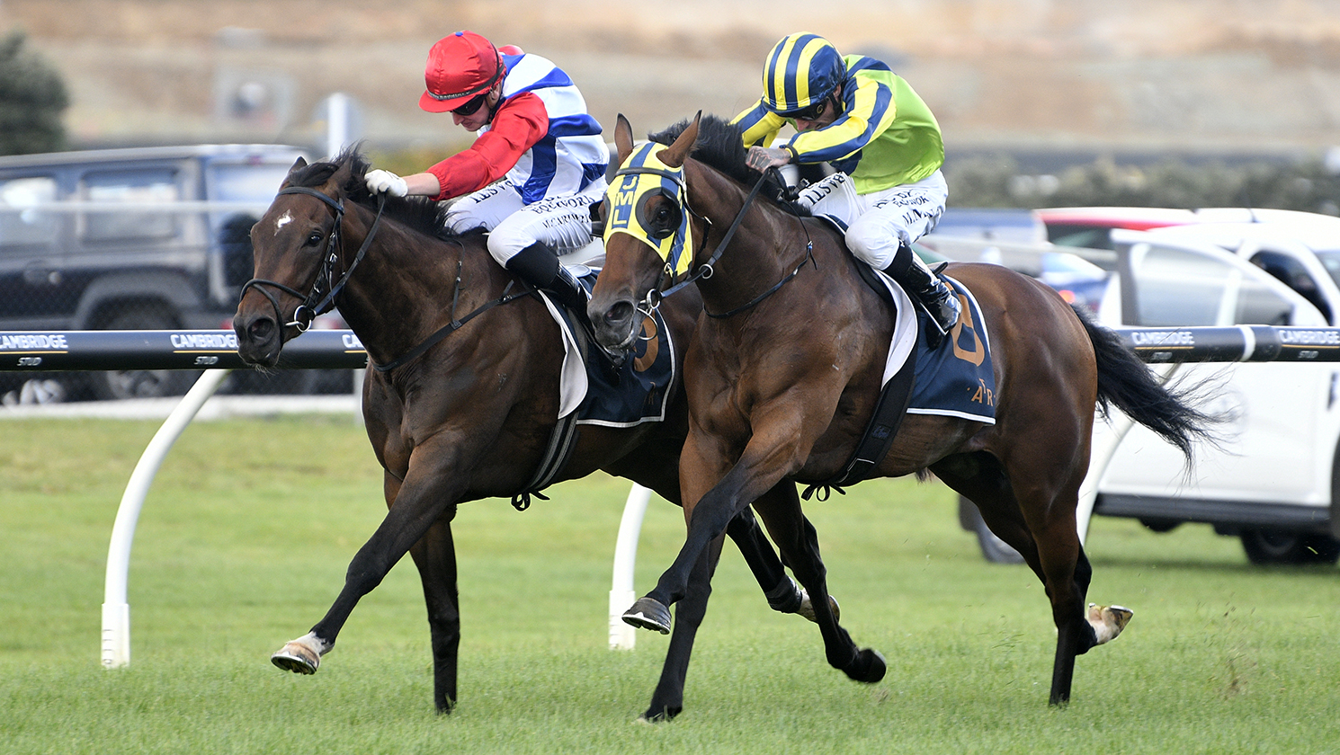 Yaldi comes out on top in blockbuster Auckland Guineas