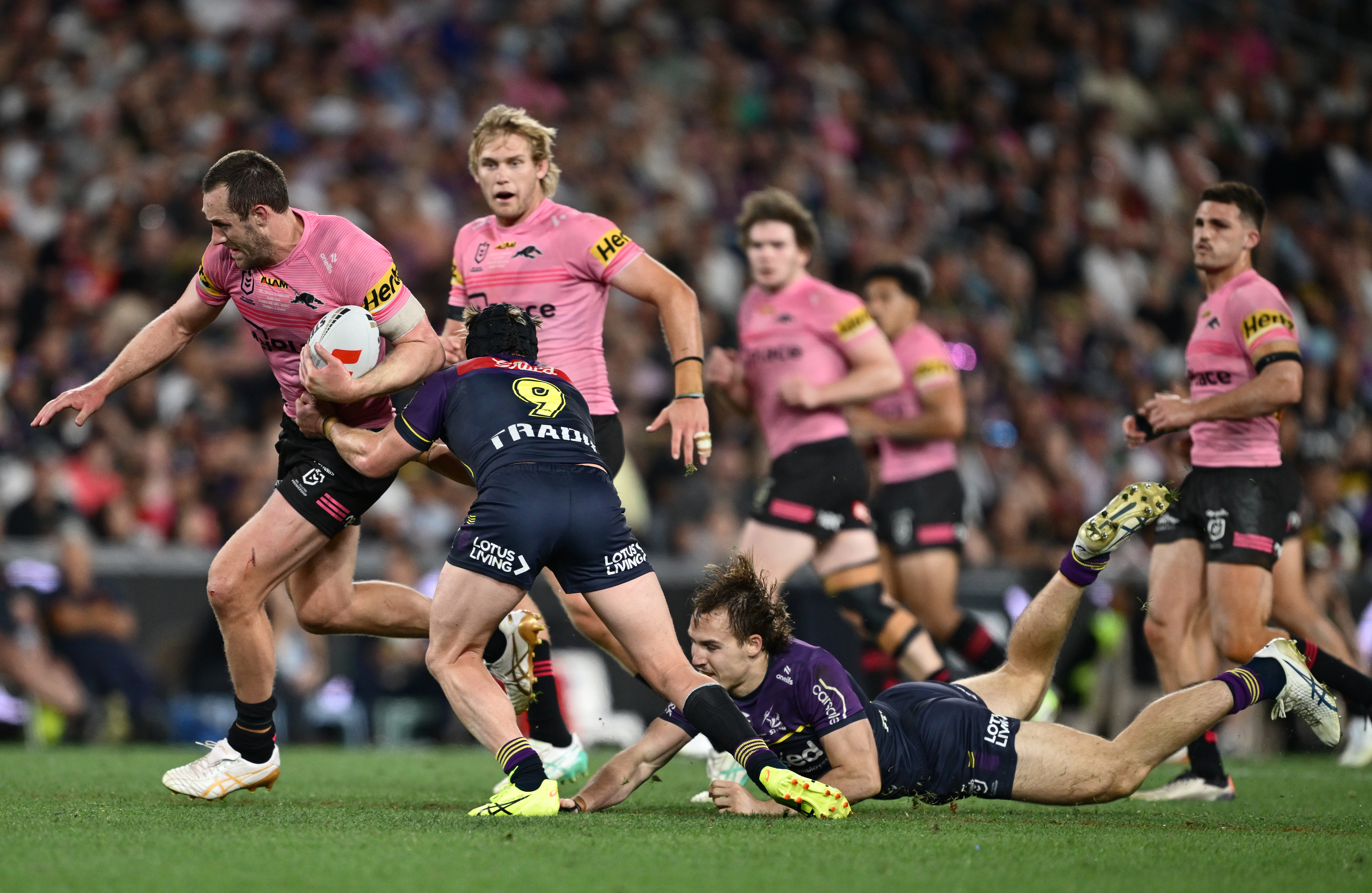 NRL Tips round 24: Andrew Voss Greg Alexander