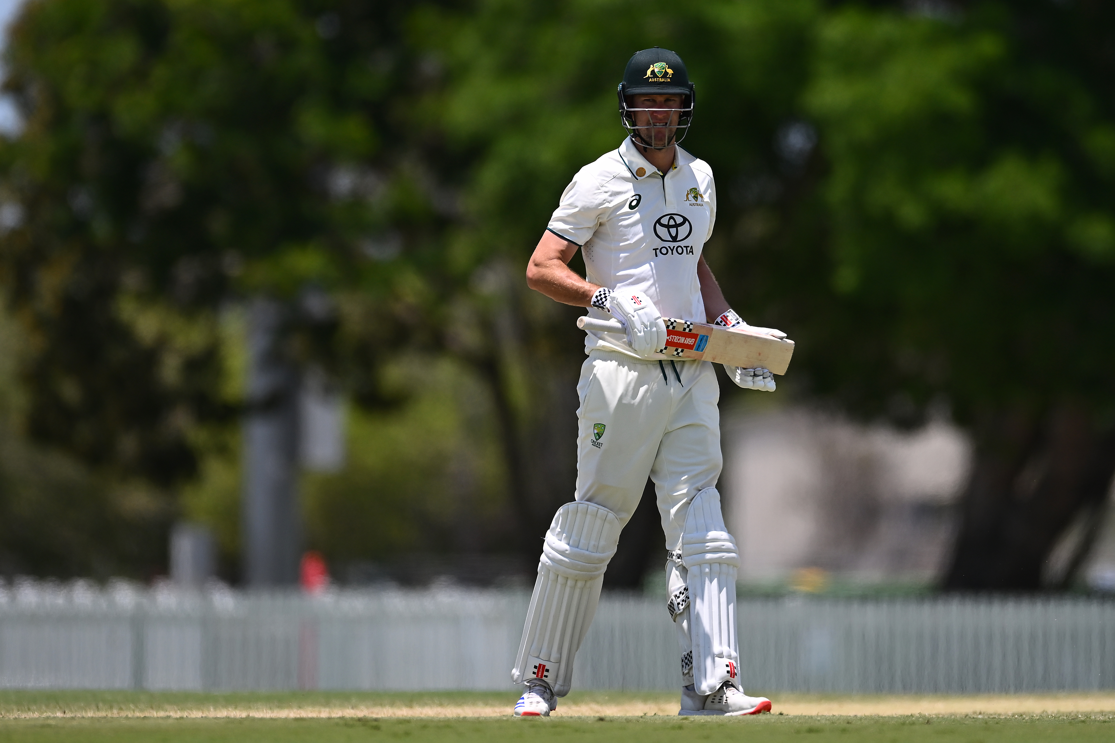 “Get him in”: Healy calls for all-rounder to make Test debut in Adelaide