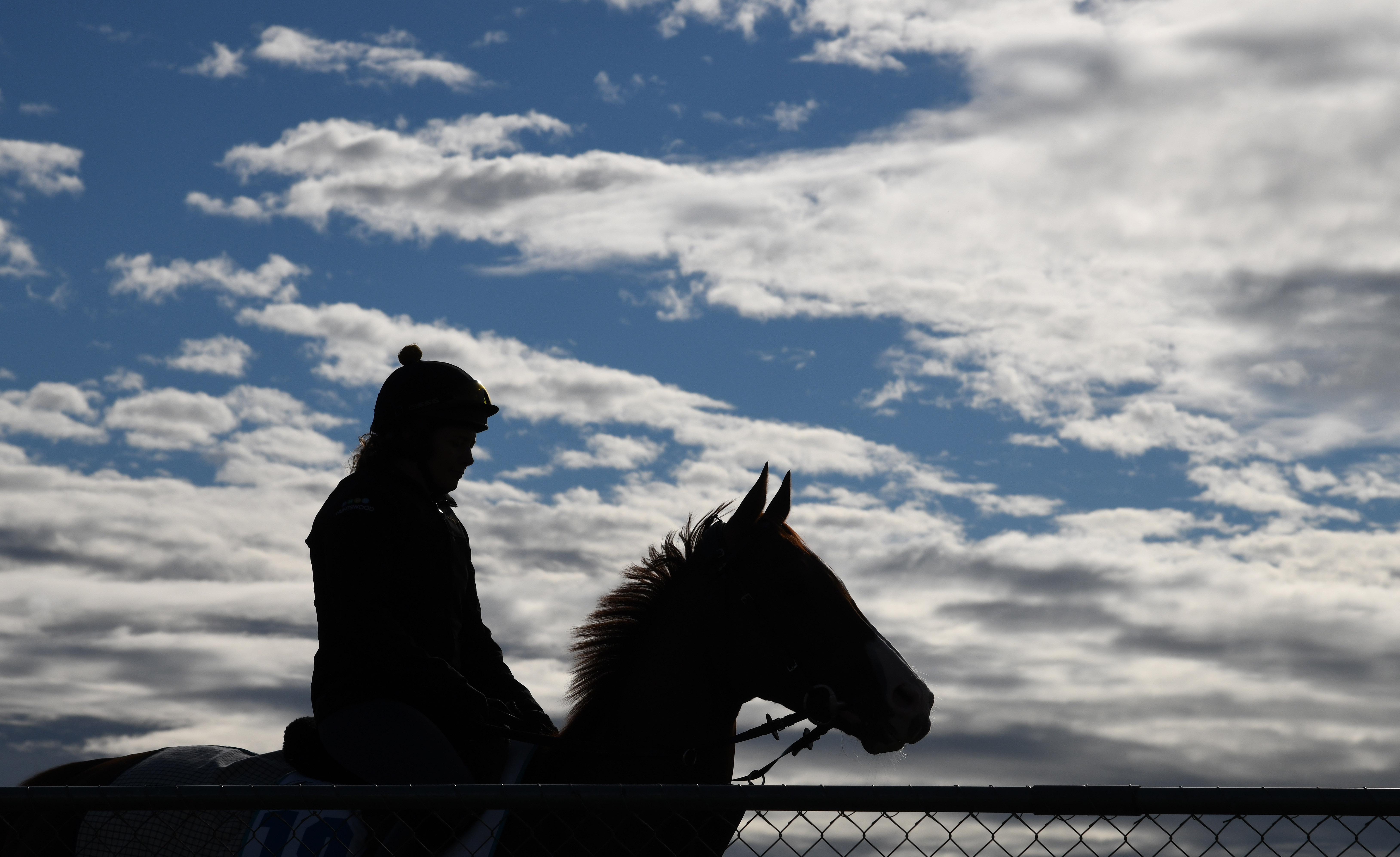 Horse racing news: Grant and Alana Williams stood down