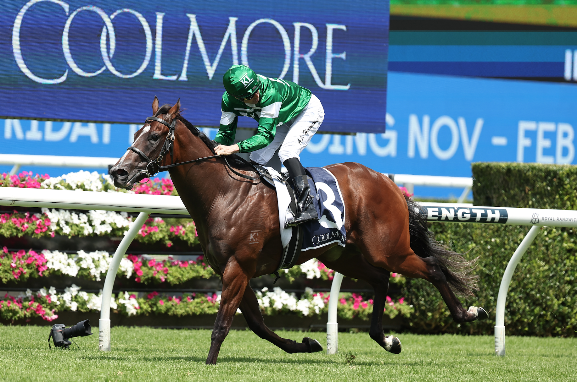 “Just wins”: Form analysts targeting two key runners at Randwick on ...