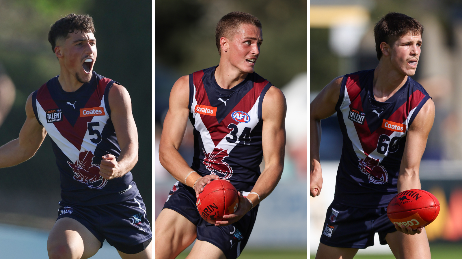 AFL 2025: The Sandringham Dragons prospects to watch