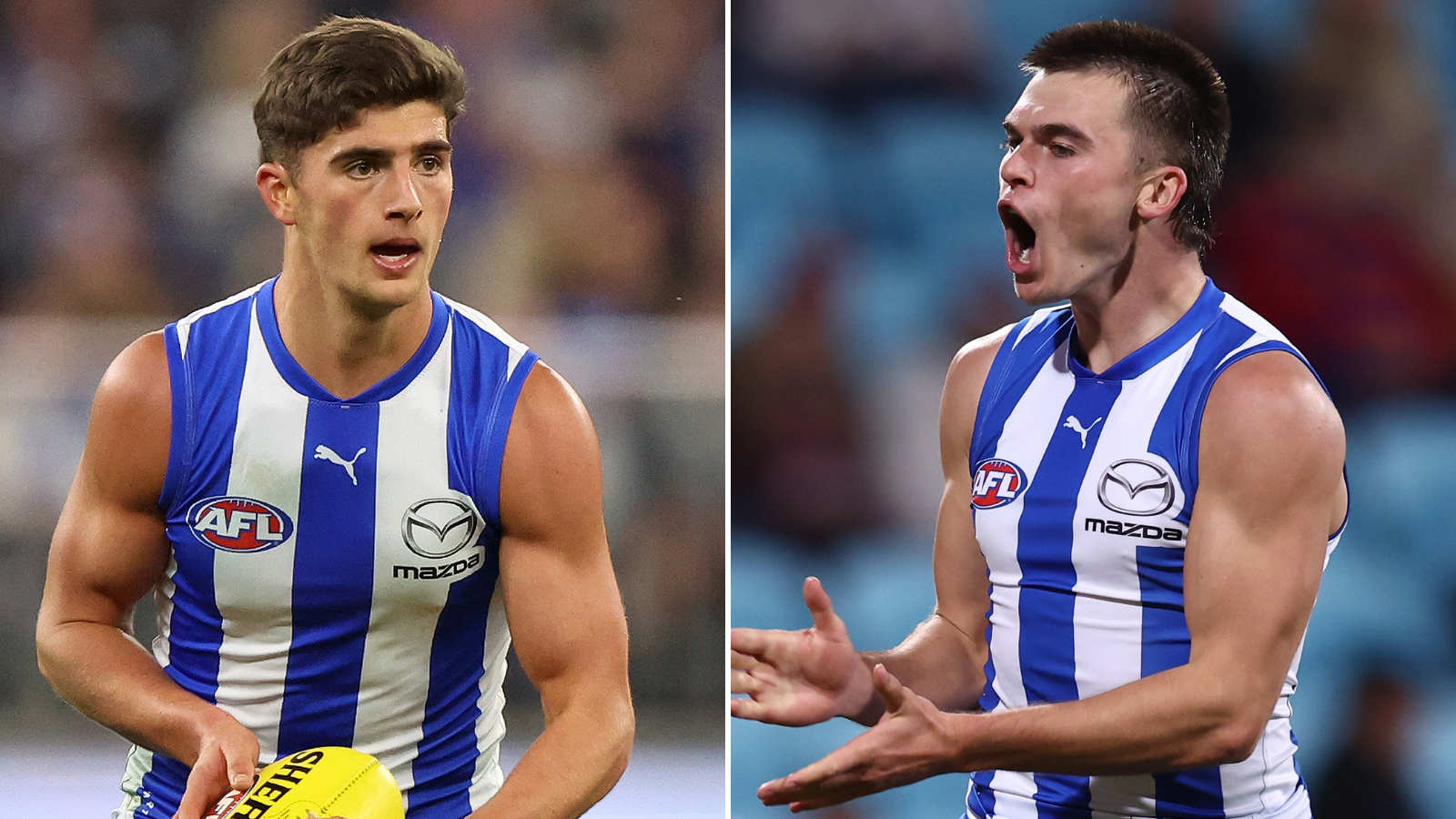 AFL 2025: Harry Sheezel escapes shoulder injury concern