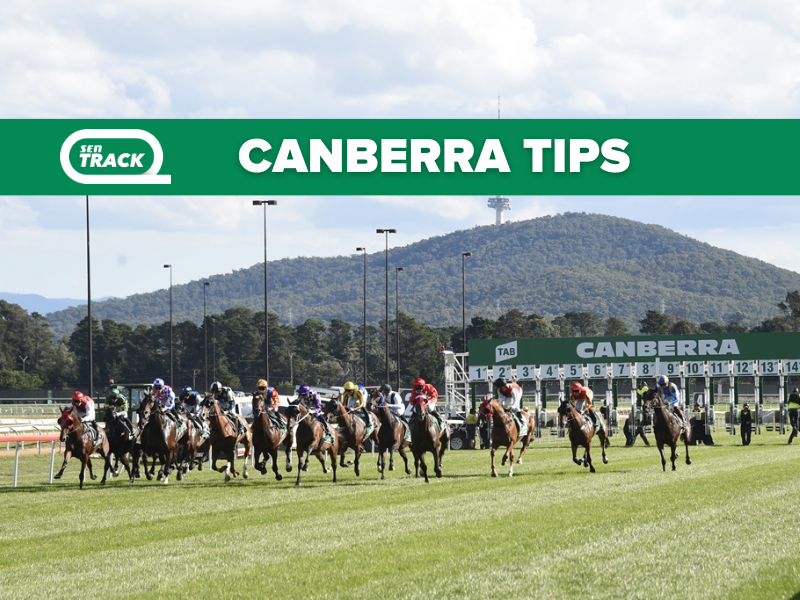 SEN Track: Canberra Best Bets – December 13, 2024