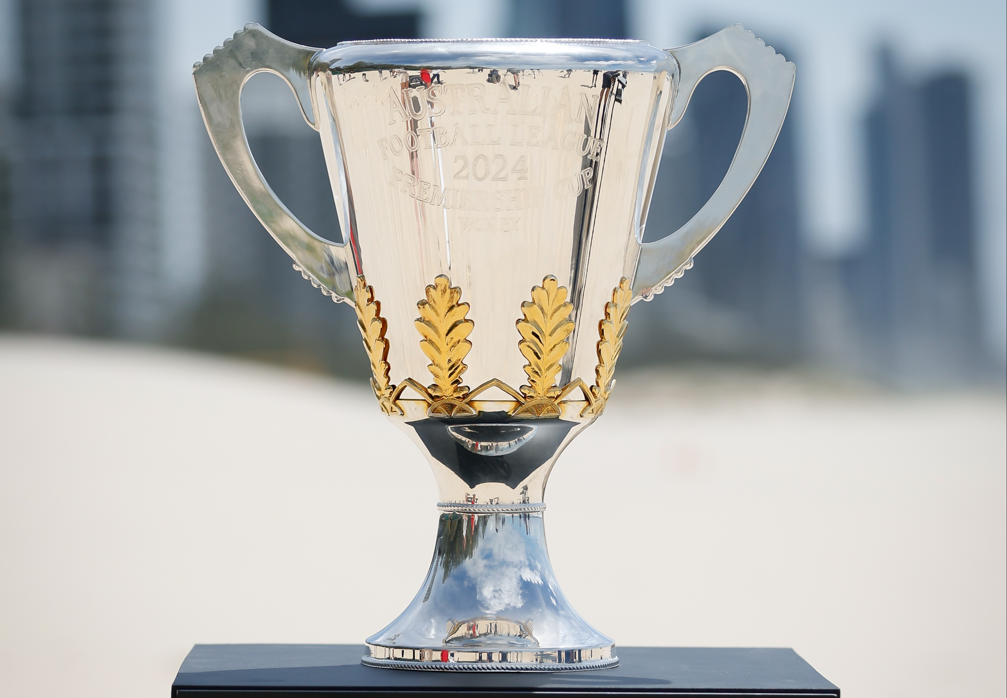 Two-time premiership captain’s BIG predictions for the 2025 AFL season