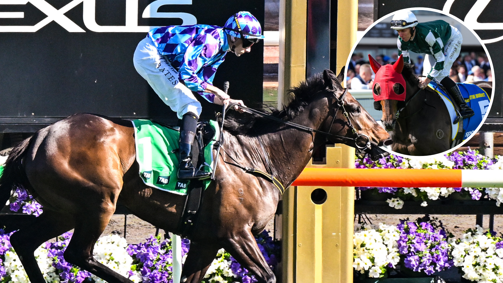 Horse racing tips: Champions Mile, Pride Of Jenni, Treasurethe Moment ...