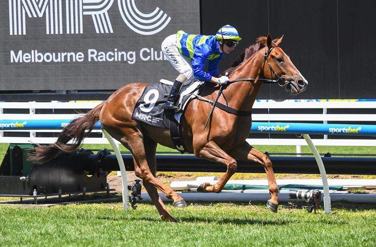 Forecasting the big racing stories in 2025 and an early call on the Cox ...