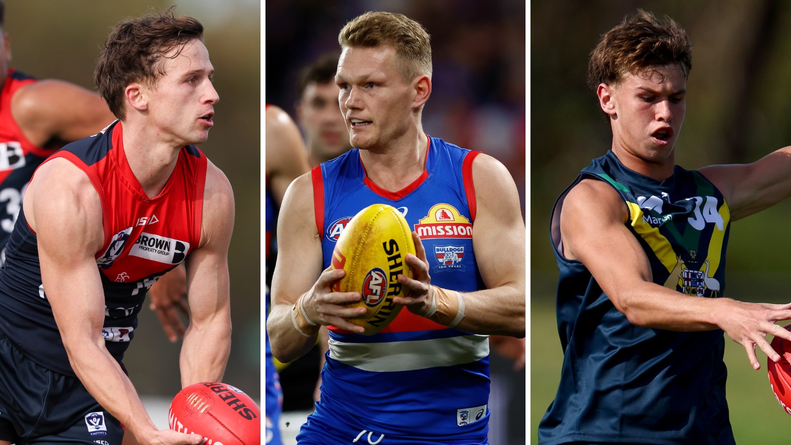 VFL 2025: Round 21 wrap