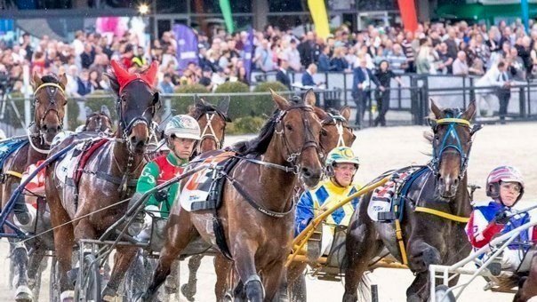 SEN Track: Tim O'Connor's Friday night Harness Racing Tips at Geelong ...