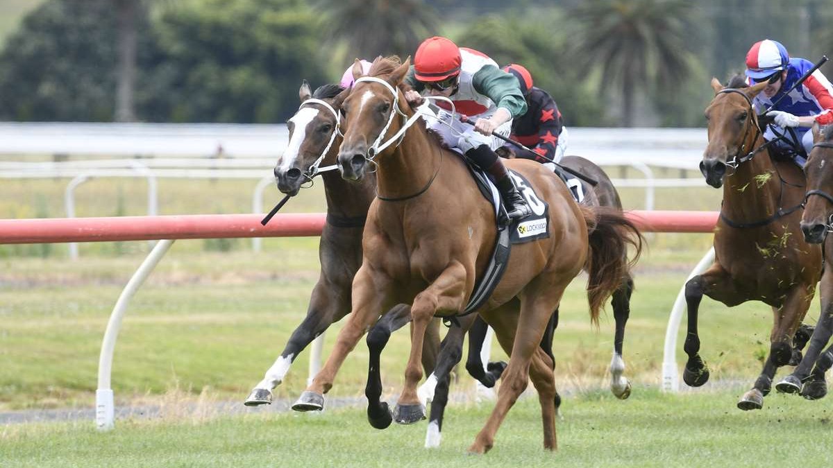 Gypsy hoping to weave her path to Karaka Millions