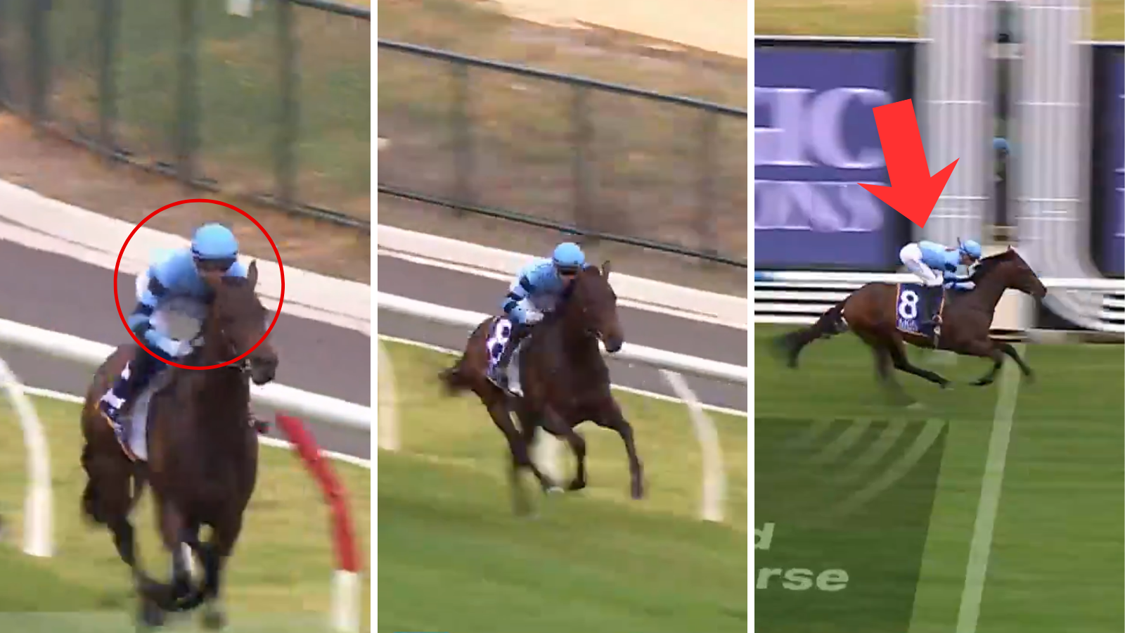 Horse Racing 2026: Unit Five, Magic Millions tip, Ciaron Maher, Tom ...