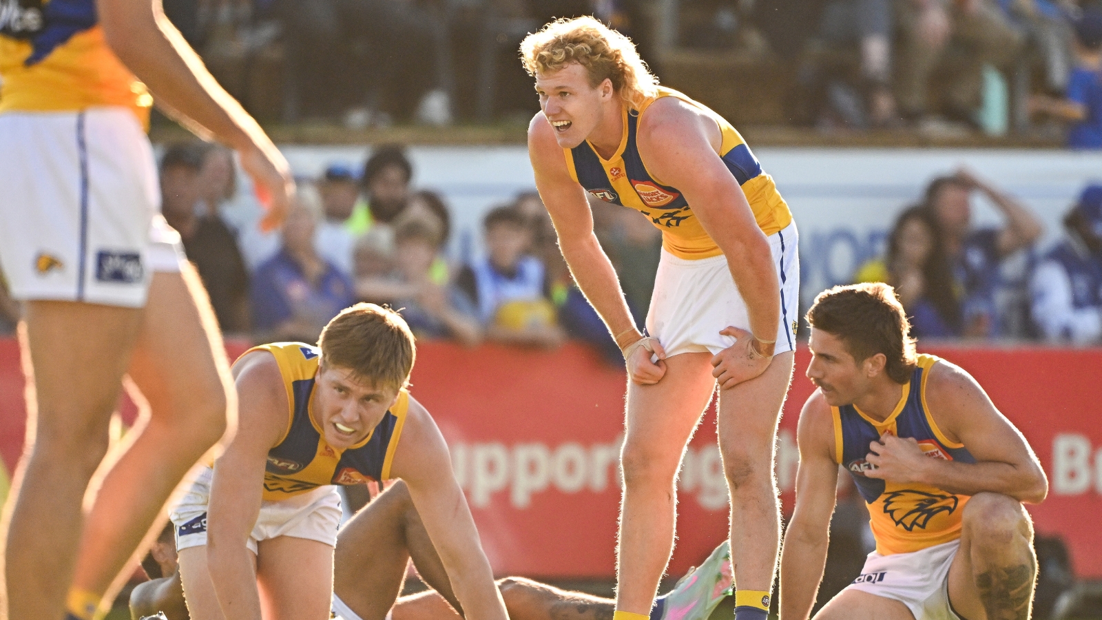 AFL 2025: The things we learnt in Round 13
