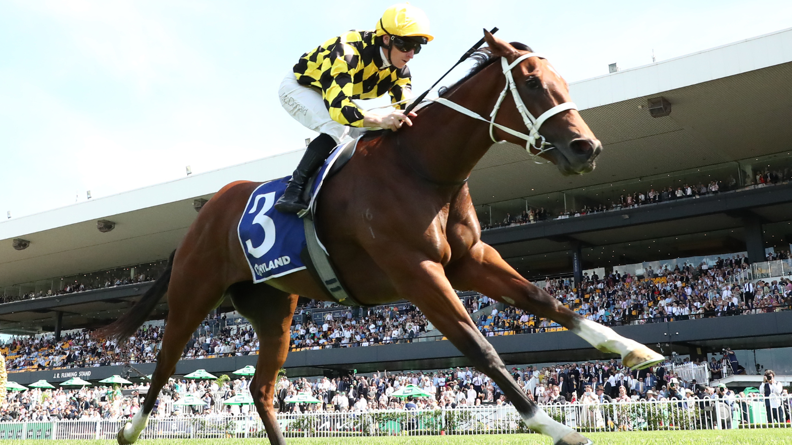 Melbourne Cup Week 2025: “Mini Winx”, Autumn Glow could be heading to ...