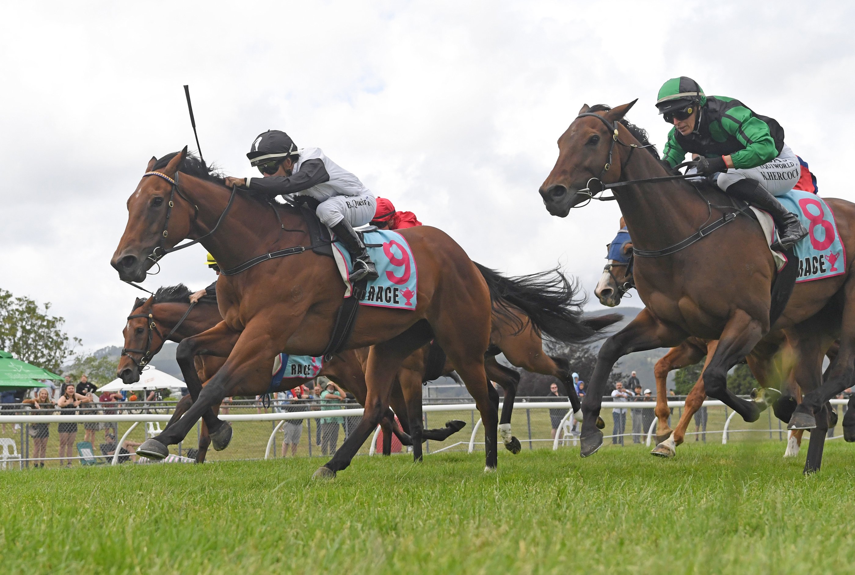 Lux Libertas up to the Manawatu Challenge