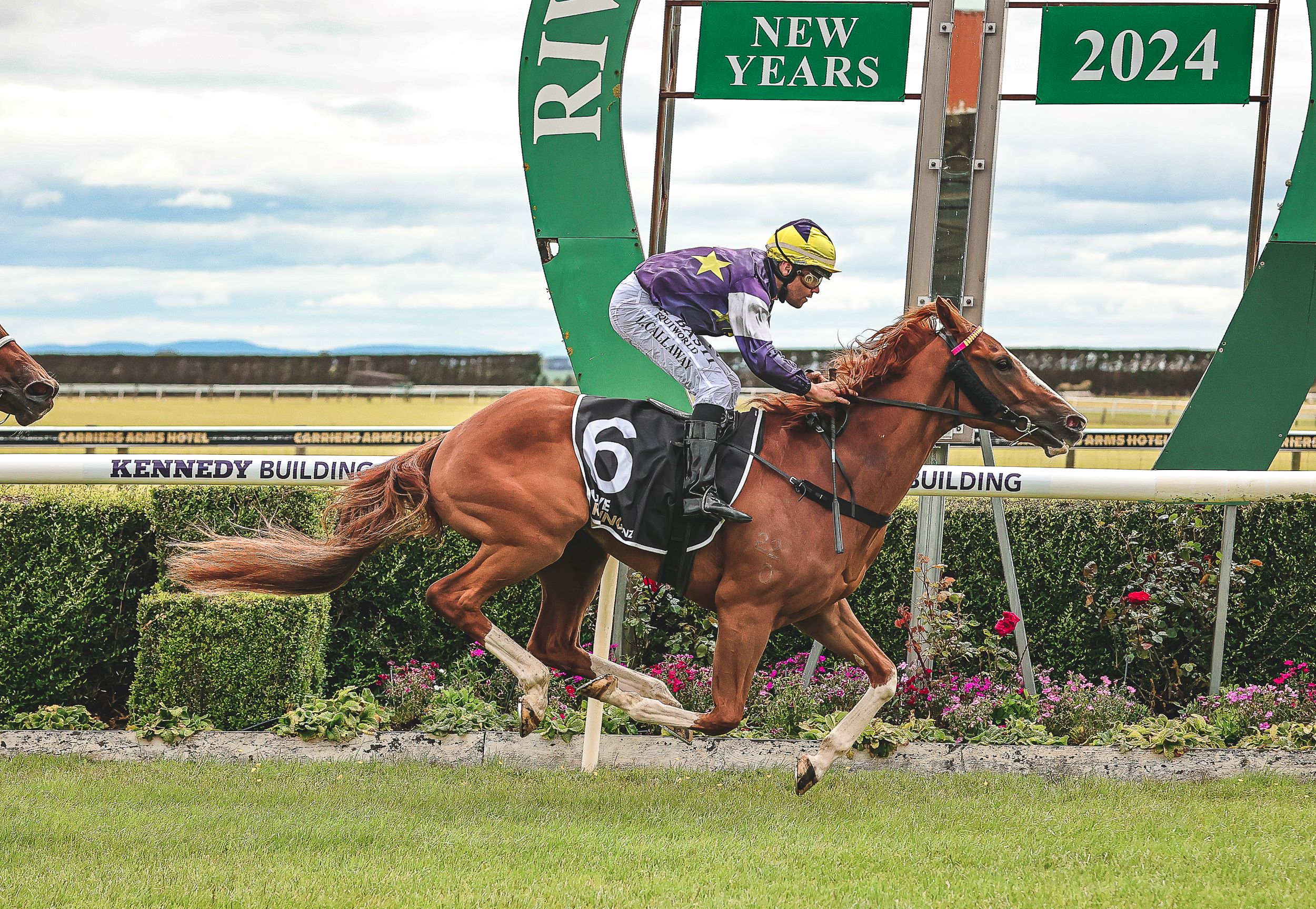Riviera Rebel readying for Southern Cups Bonus series