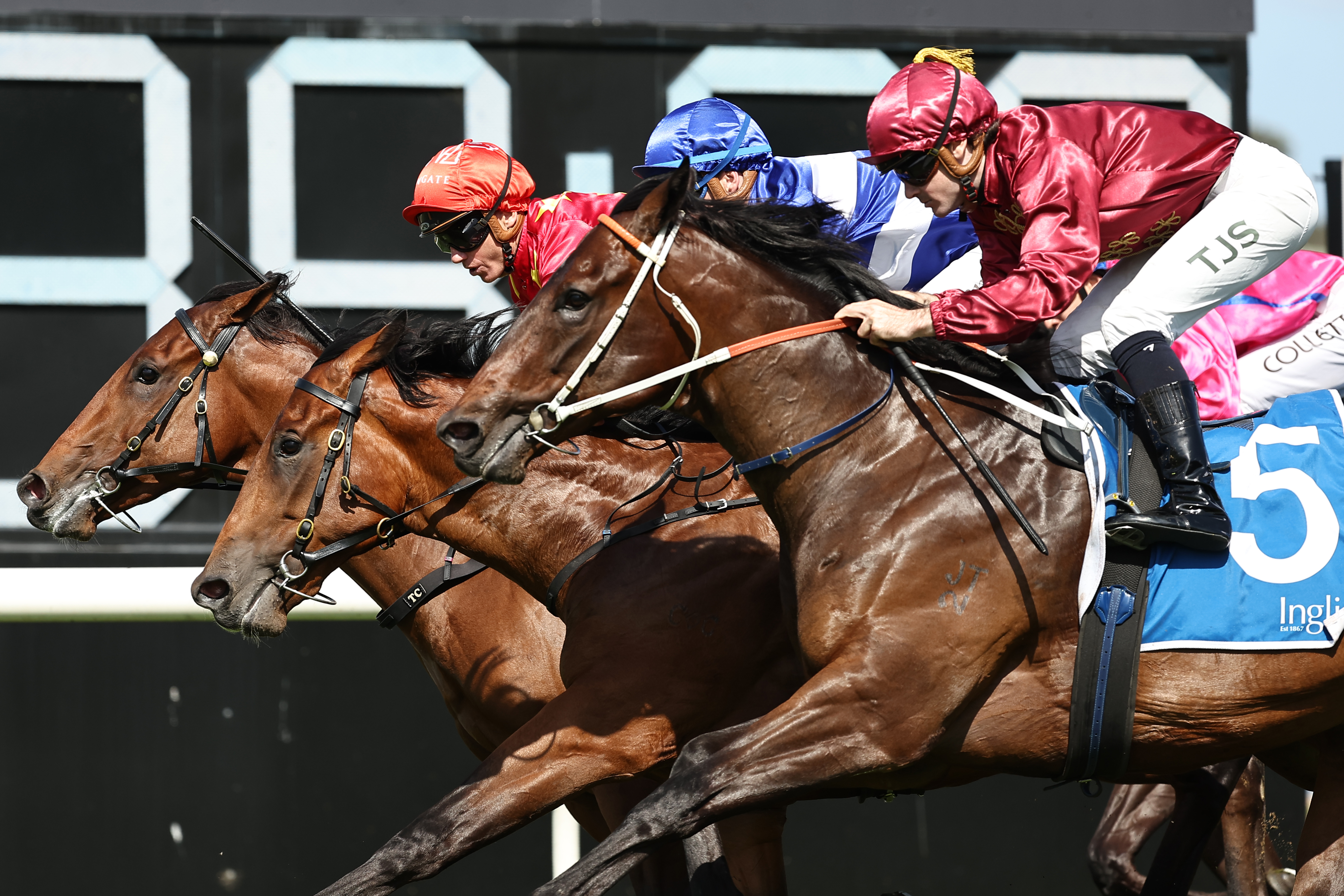 Horse racing: West Of Swindon moving stables