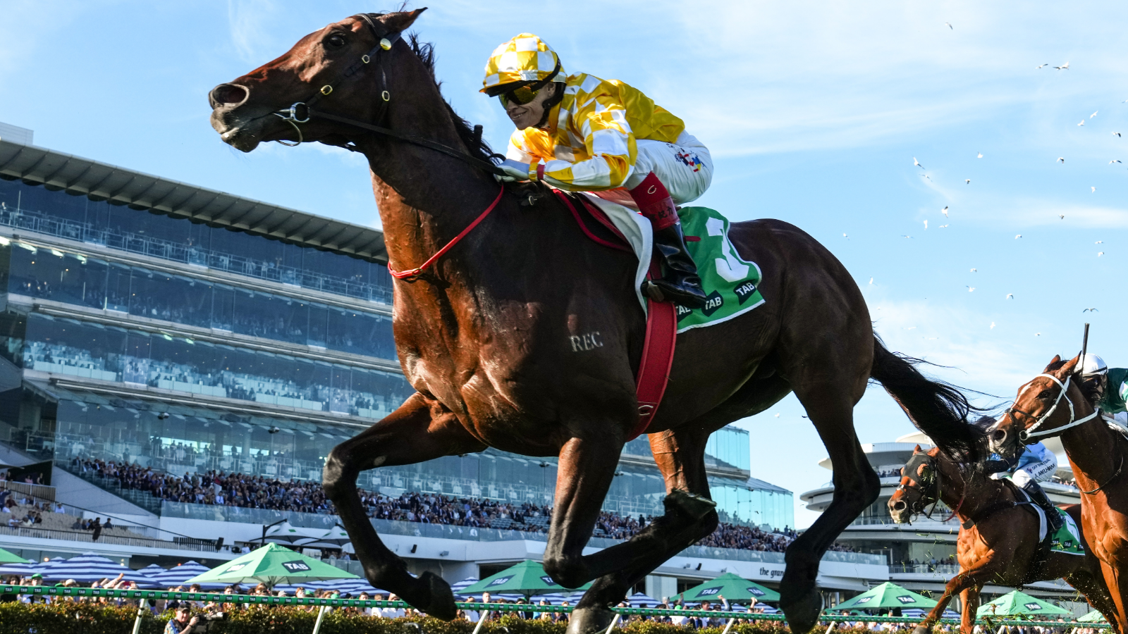 Horse Racing 2025: Sir Delius may be set for a long spell