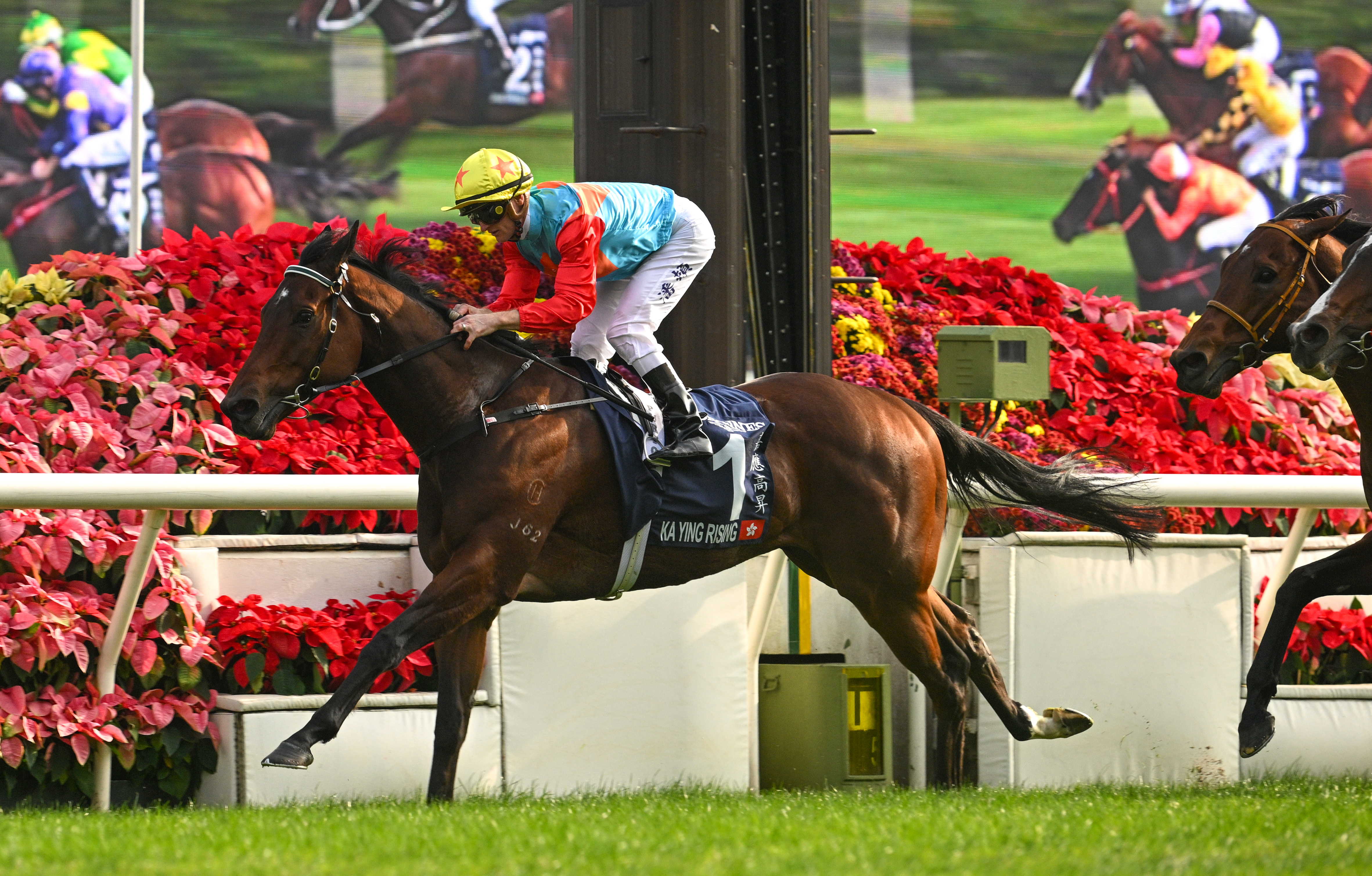 Horse Racing 2025: Ka Ying Rising in career-best form, ready for ...