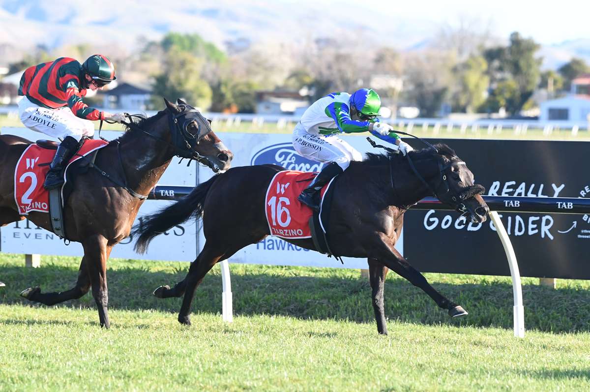 Walker on weather watch ahead of Skew Wiff’s Telegraph tilt