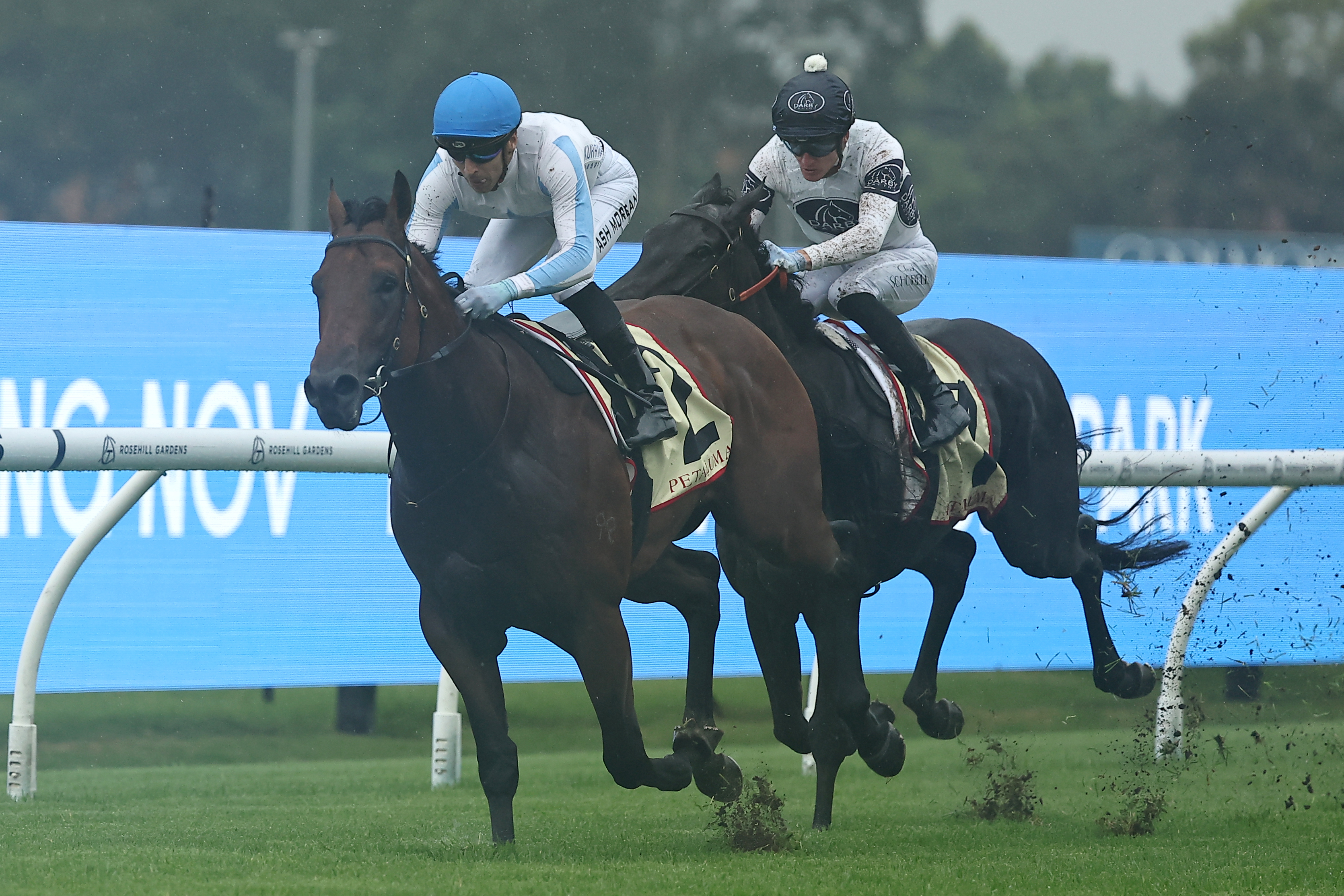 What’s the plan for dominant Sunlight winner Private Harry?