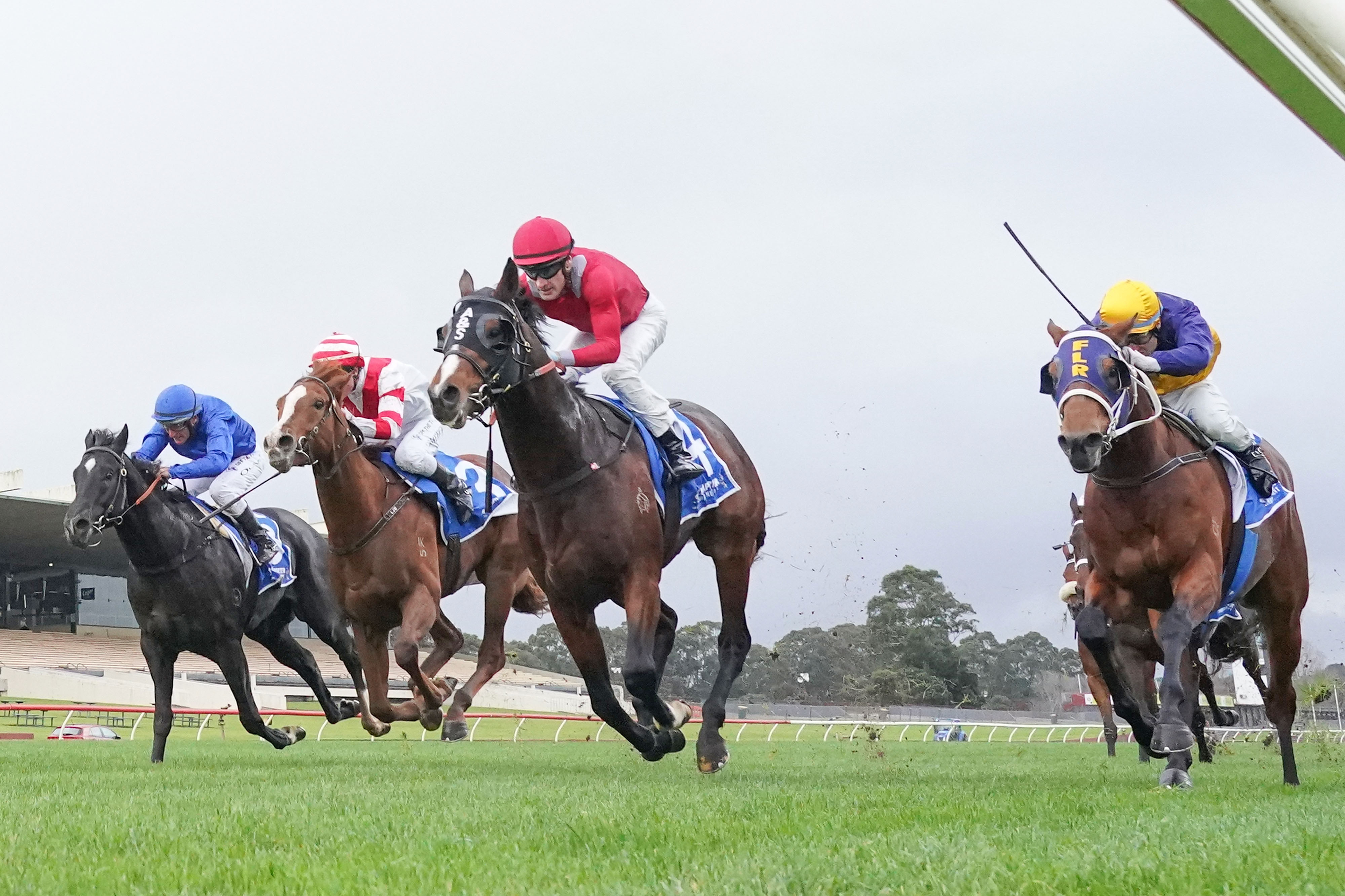 SENTrack: Cam Luke & David Taggart Saturday best bets (01/02)