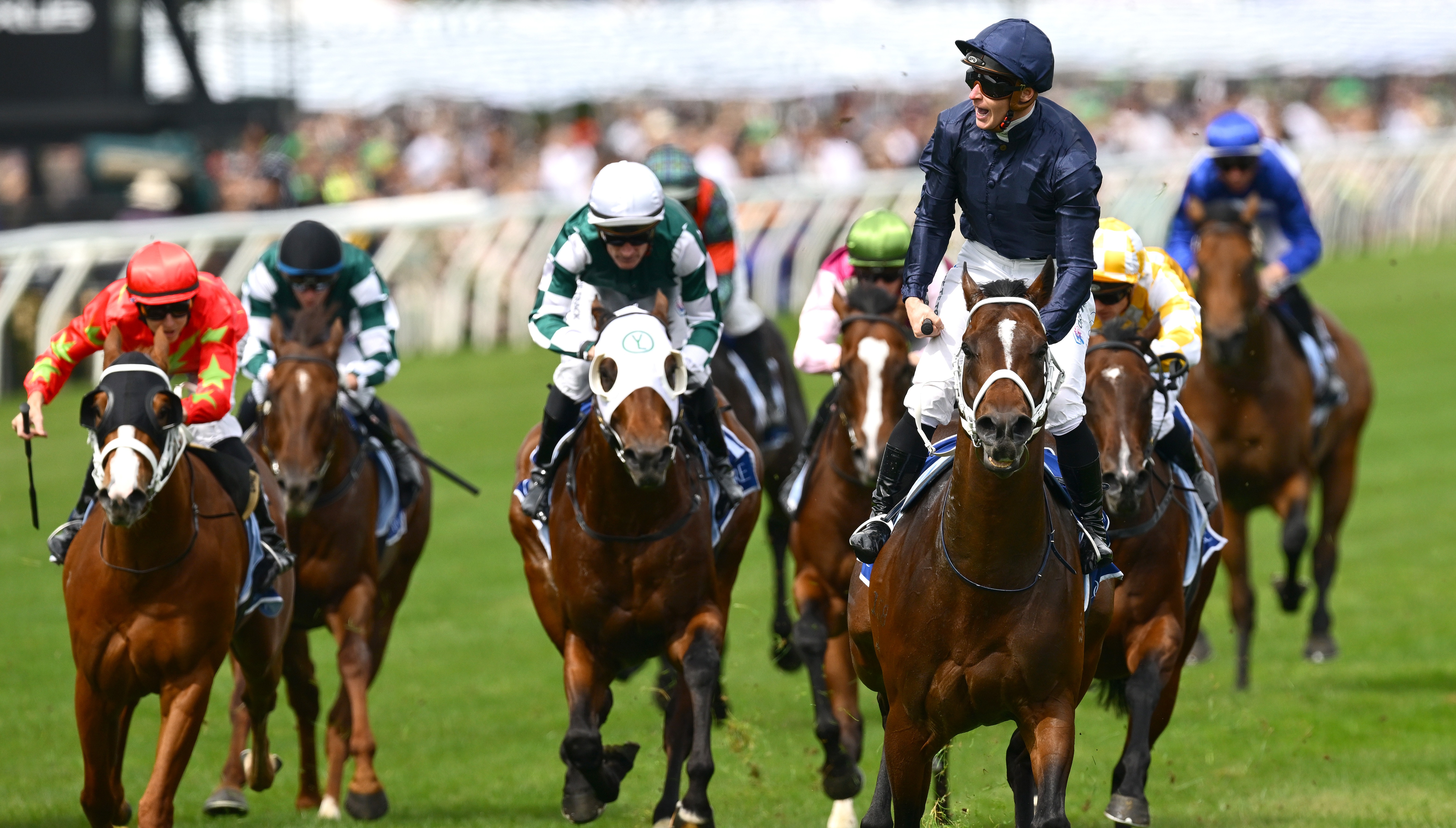 SENTrack: Cam Luke, David Taggart and Josh Jenkins Saturday best bets ...