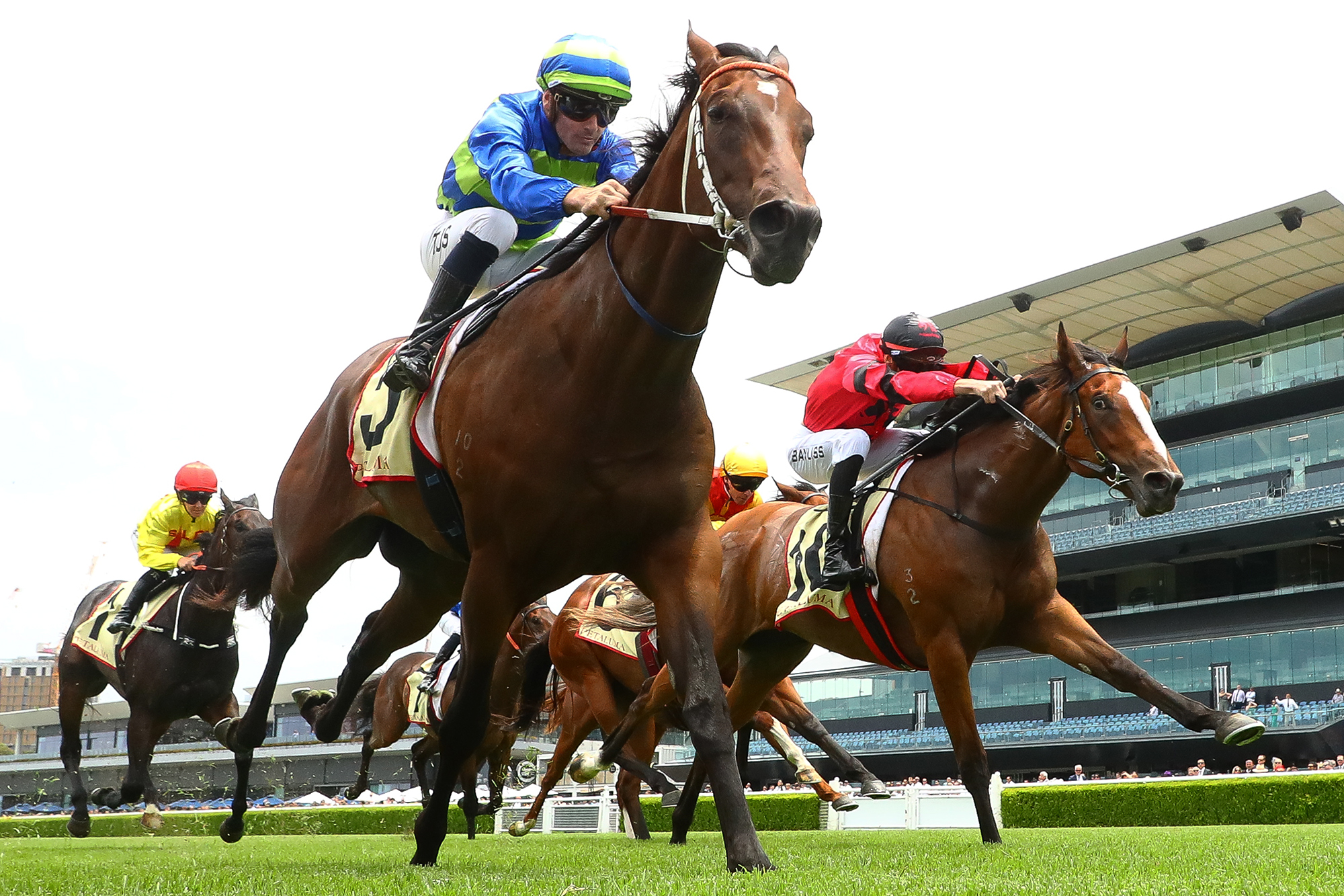 “We’re here to win”: Hawkes stable in pursuit of Magic Million riches ...