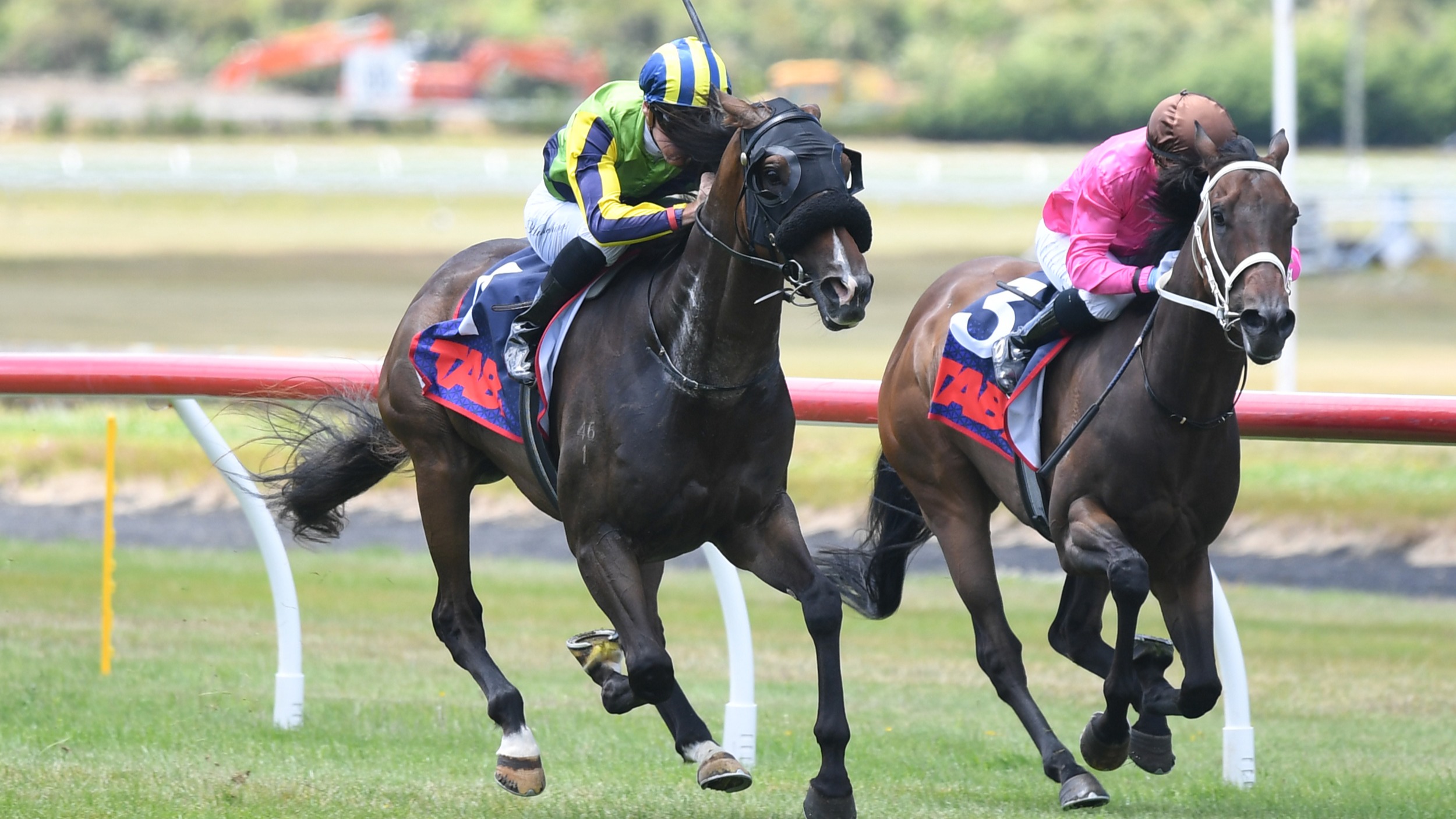 Familiar colours to the fore on Cup Day