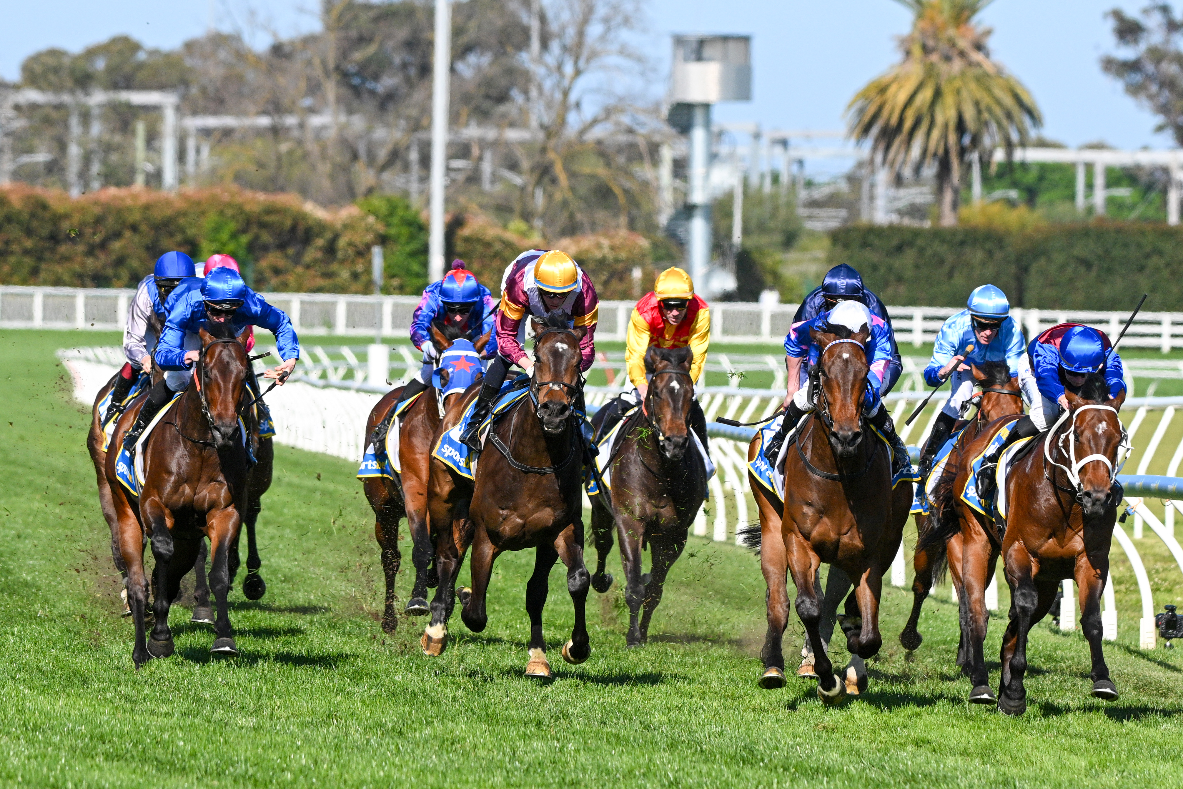 The filly “way over the odds” in the Thousand Guineas, colt tipped to ...