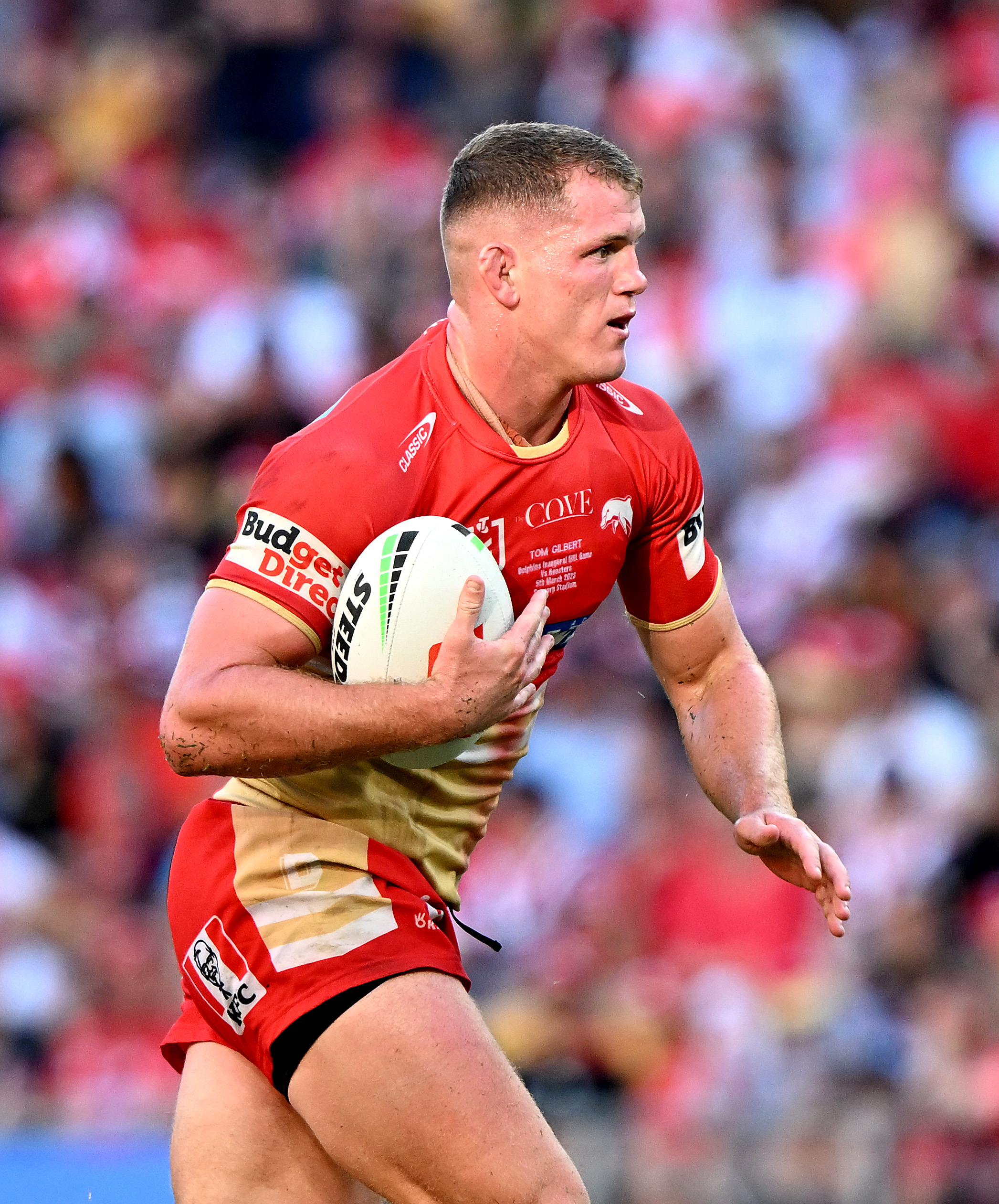 Parker endorses Queensland Origin representative to captain Dolphins in ...