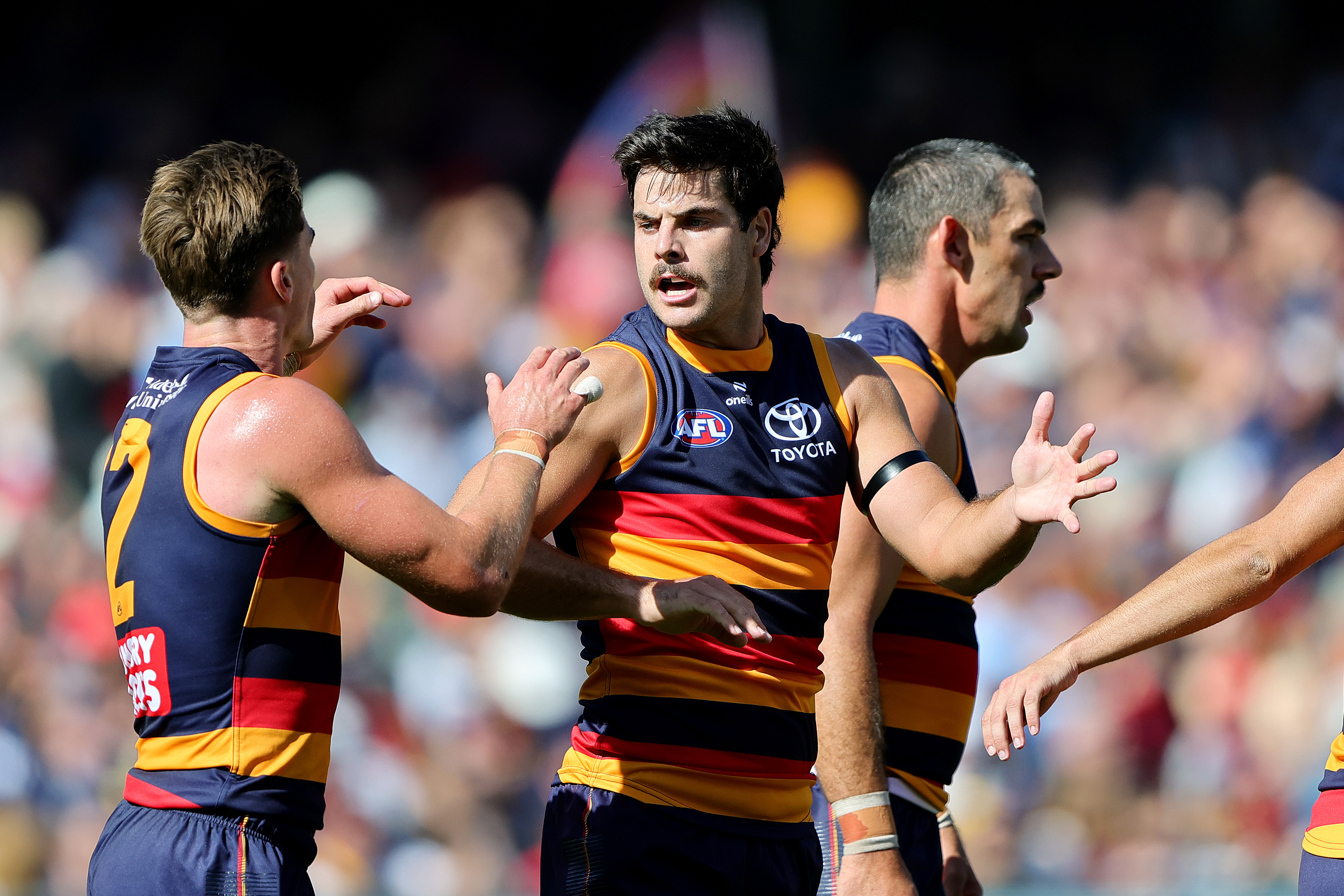 AFL 2025: Nathan Buckley, Adelaide Crows forward line