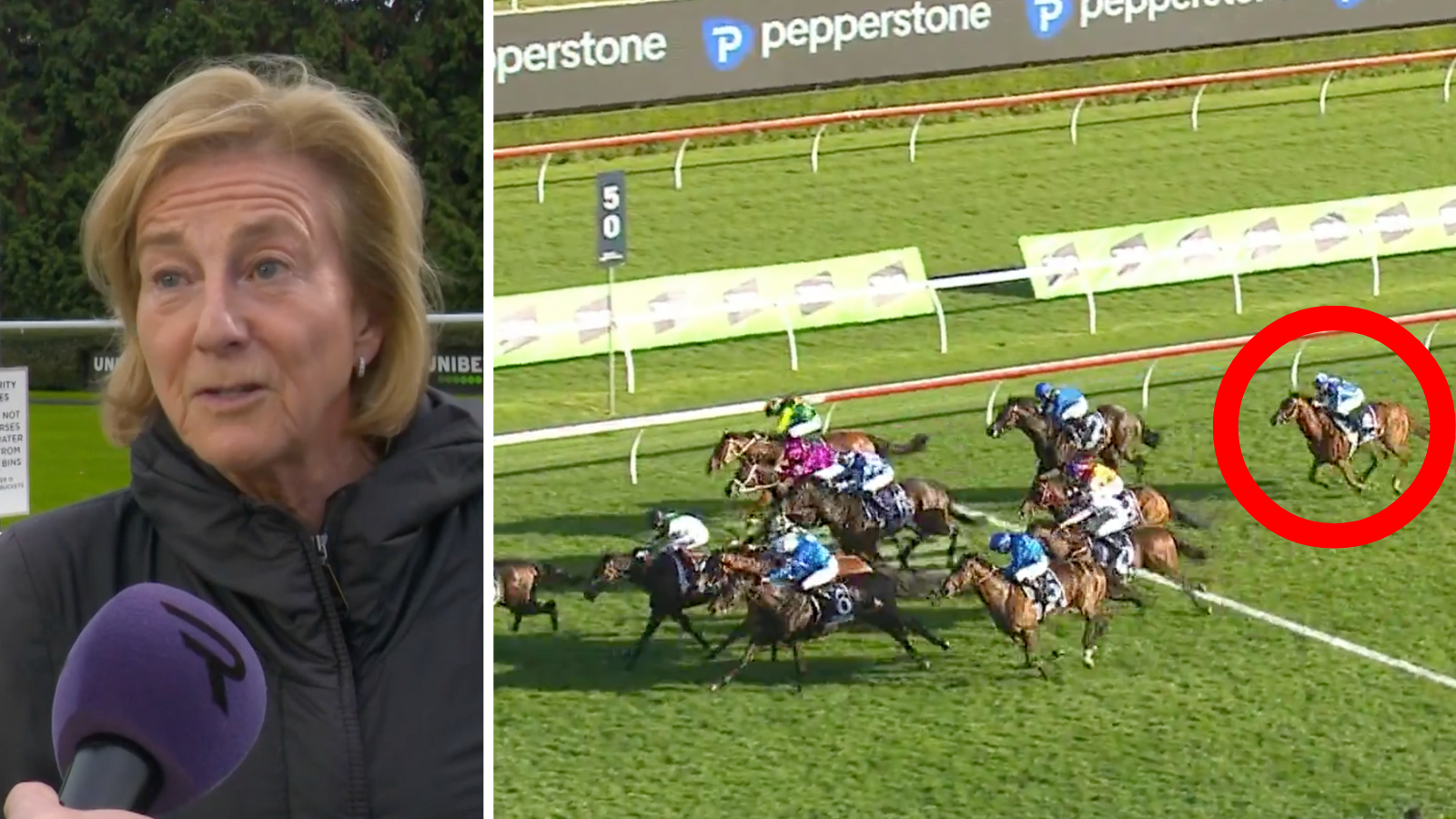 Horse racing: Jockey Zac Purton ride Lake Forest, Maureen Haggas