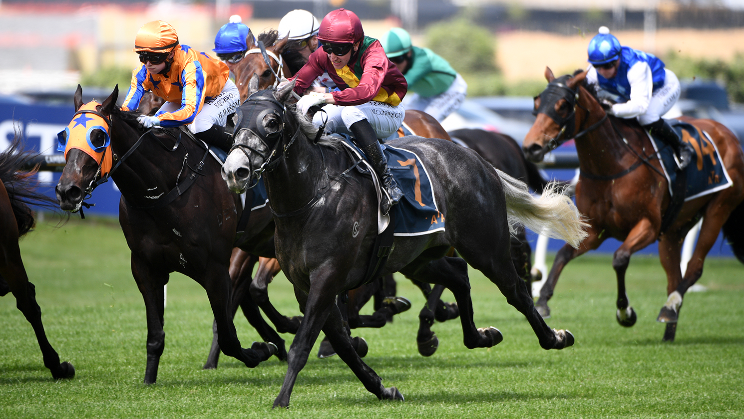 German scores Steely victory at Ellerslie