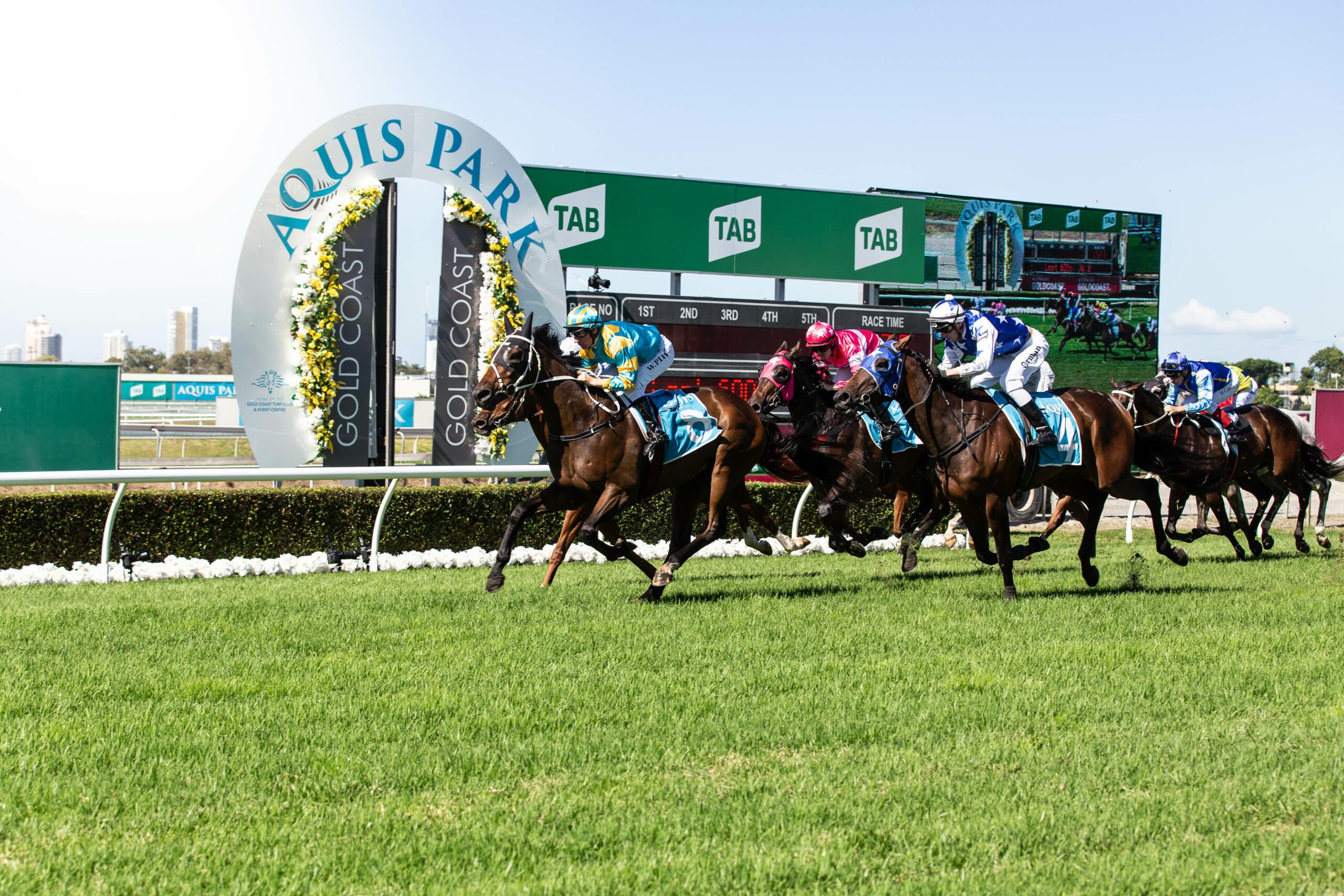 SEN Track: Chris Nelson's Magic Millions tips (11/01)