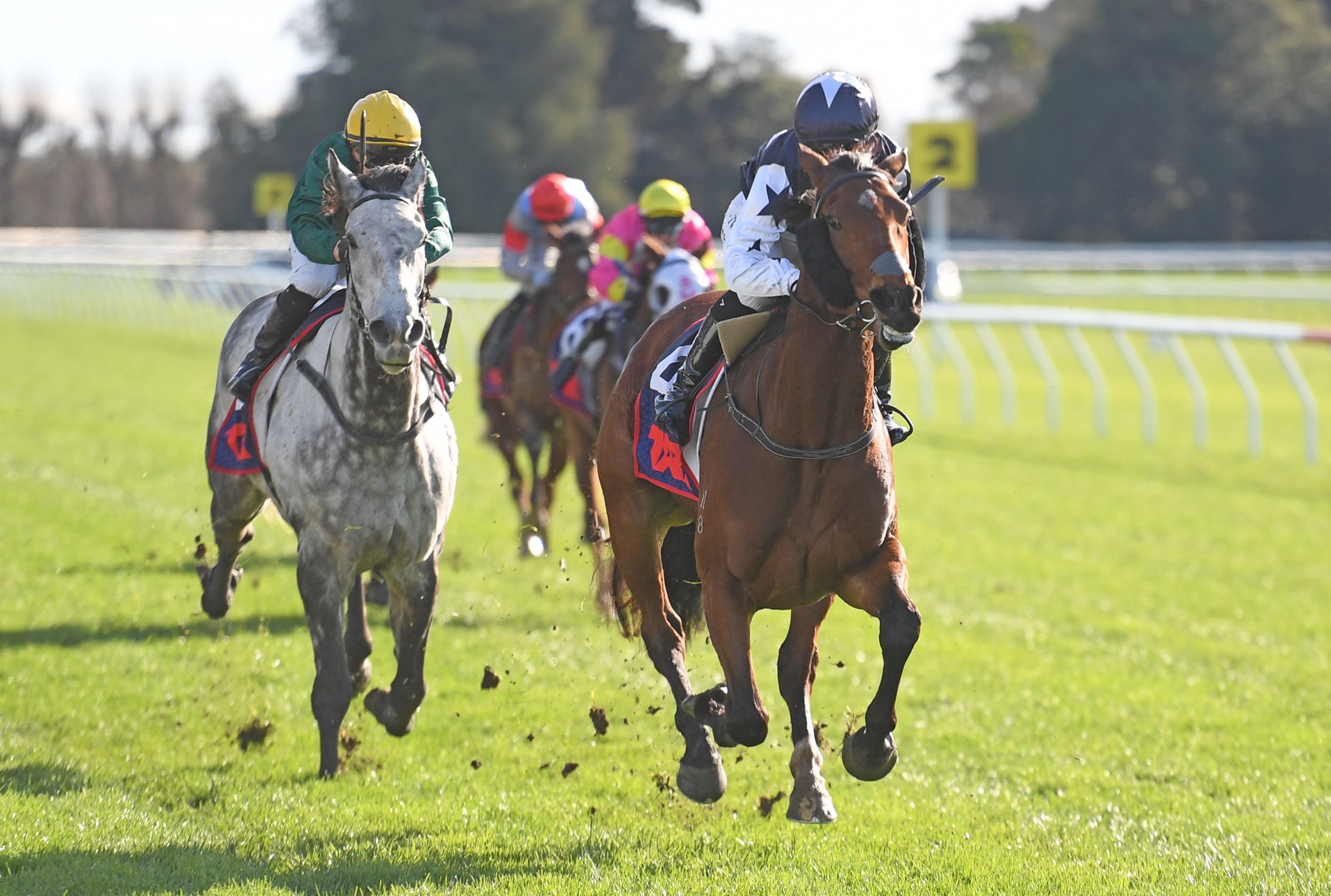 Pride Of Aspen shines in familiar territory