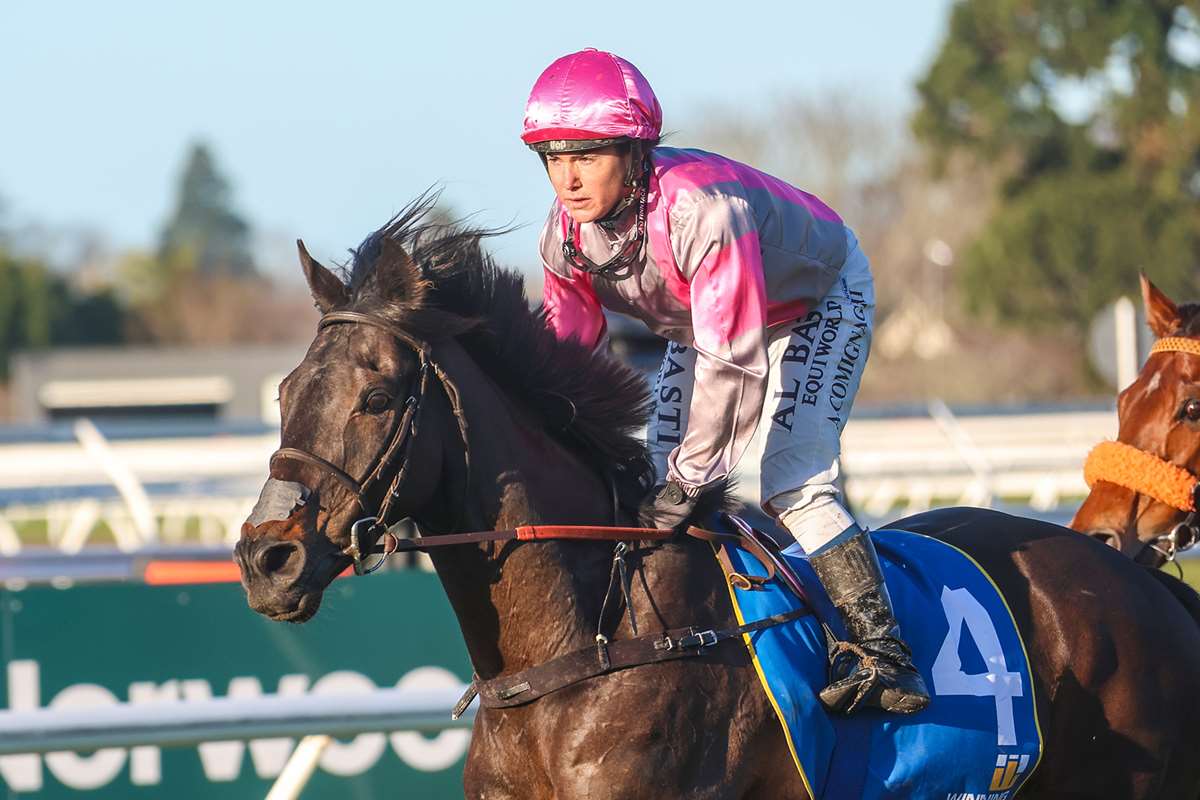 Rangiotu gelding chasing further stakes success