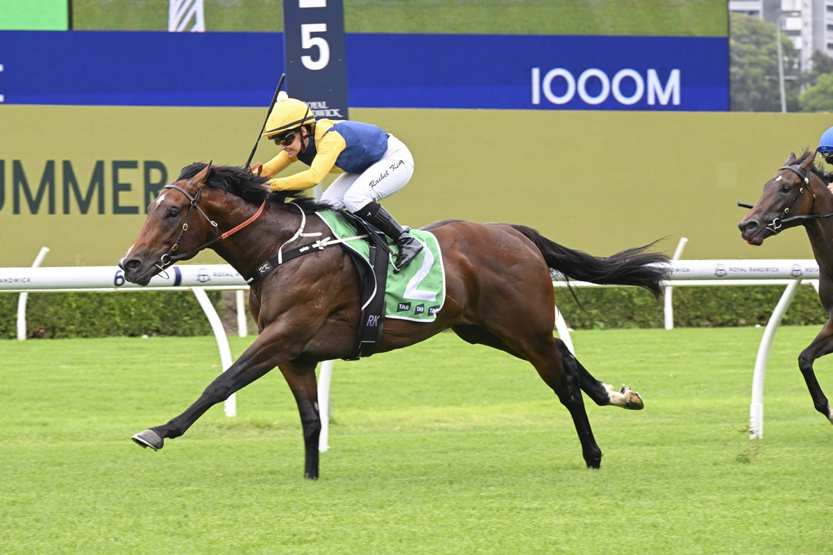 Sword Of State boosts festive spirits
