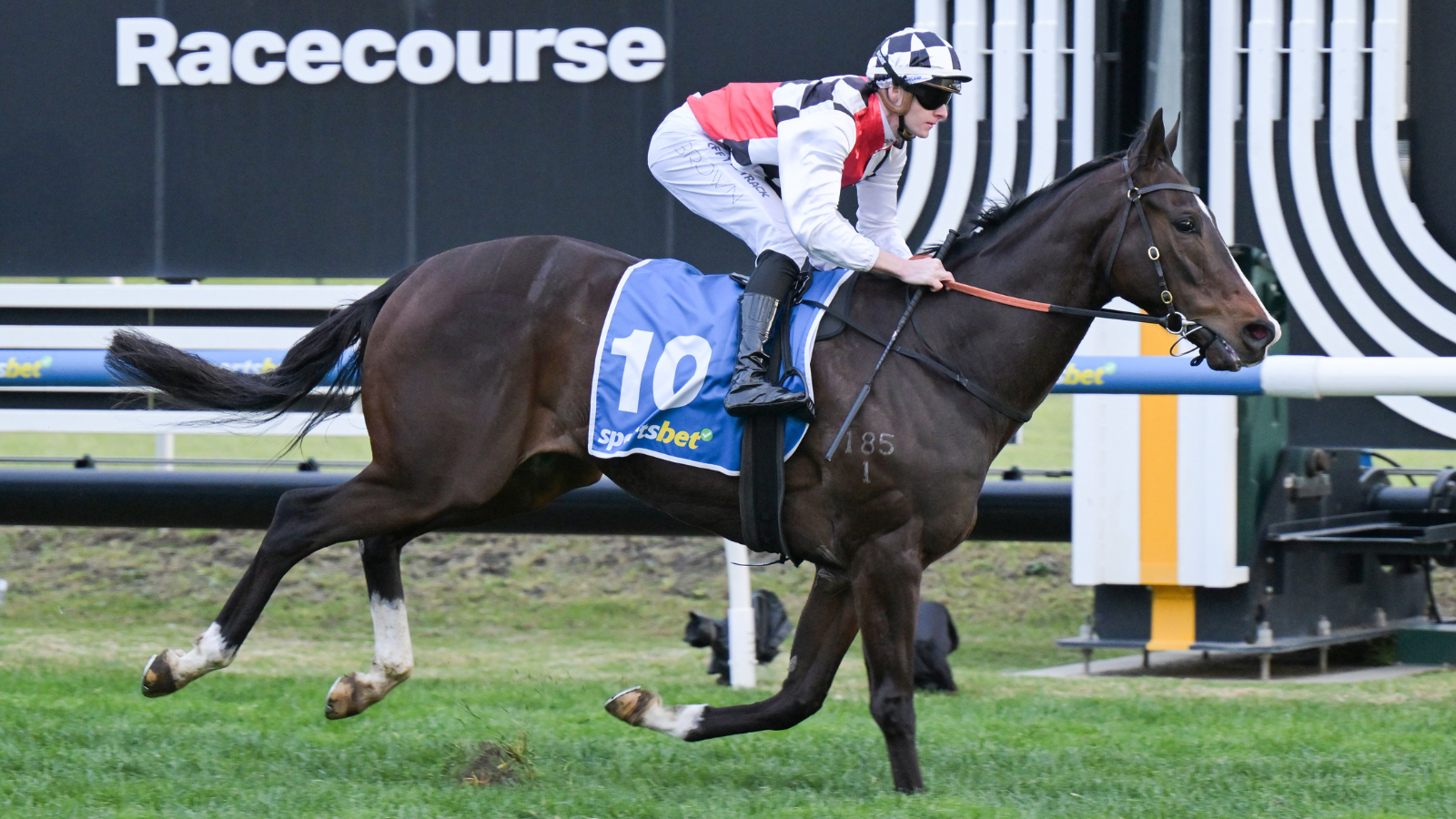 Horse racing tips: Nick and Travis Noonan RSN tips Saturday