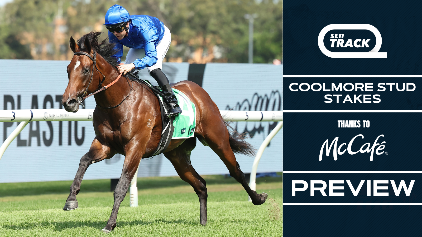 Coolmore Stud Stakes horses, field, favourite: Beiwacht