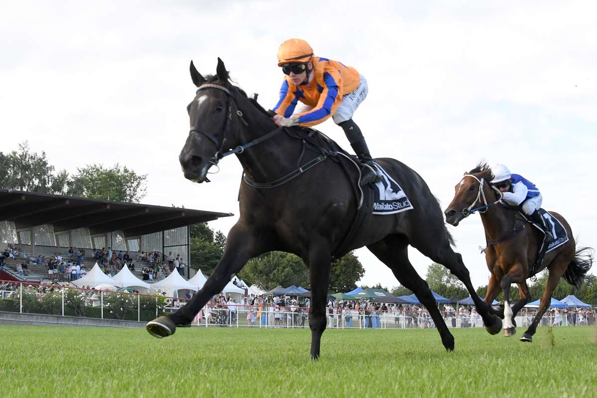 Te Akau out to boost feature prospects at Ellerslie